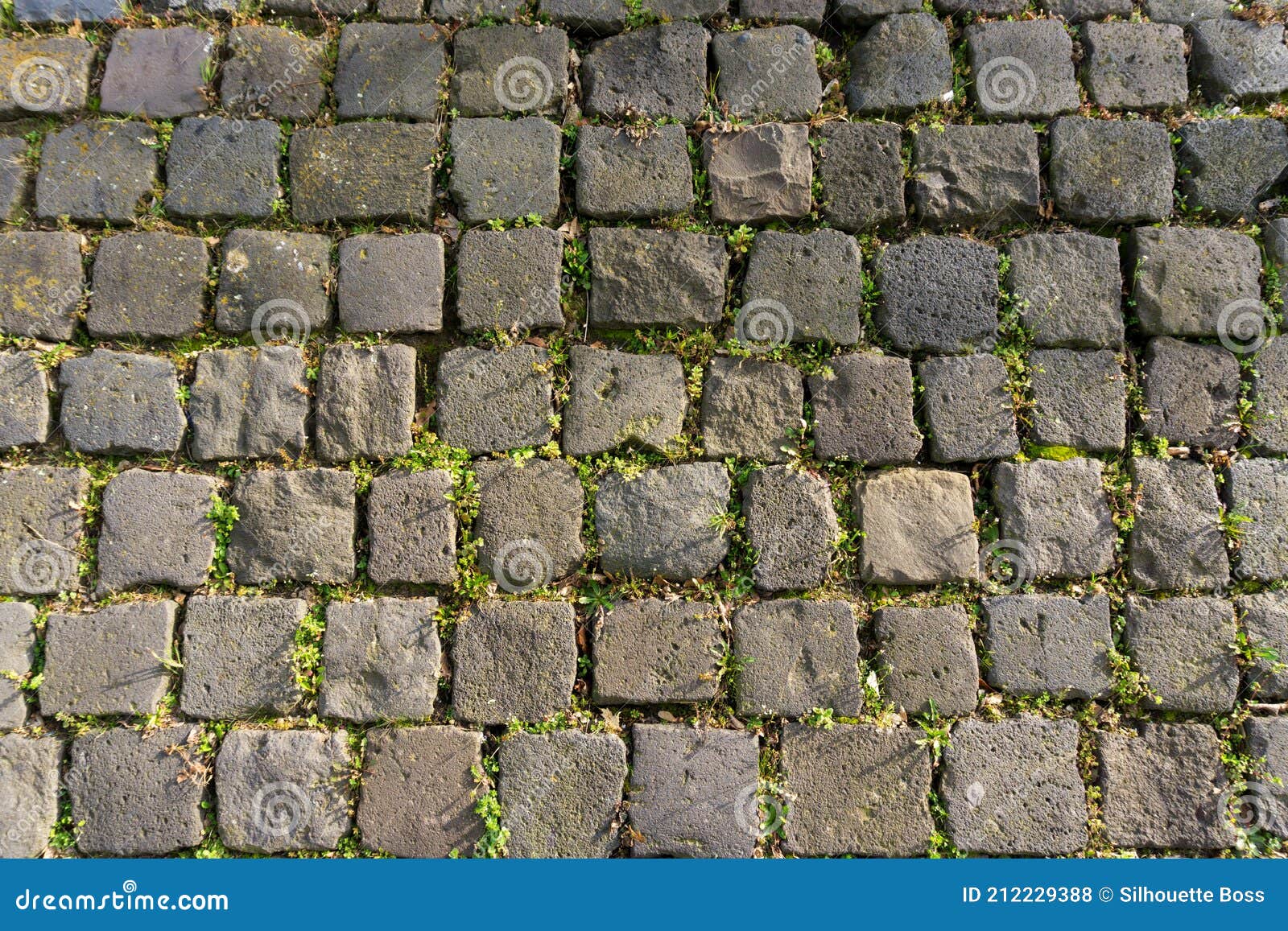 Black Gray Basalt Lava Rectangular Pavement Cobblestones in Square ...