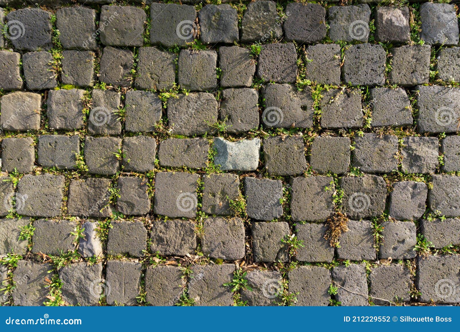 Black Gray Basalt Lava Rectangular Pavement Cobblestones in Square ...