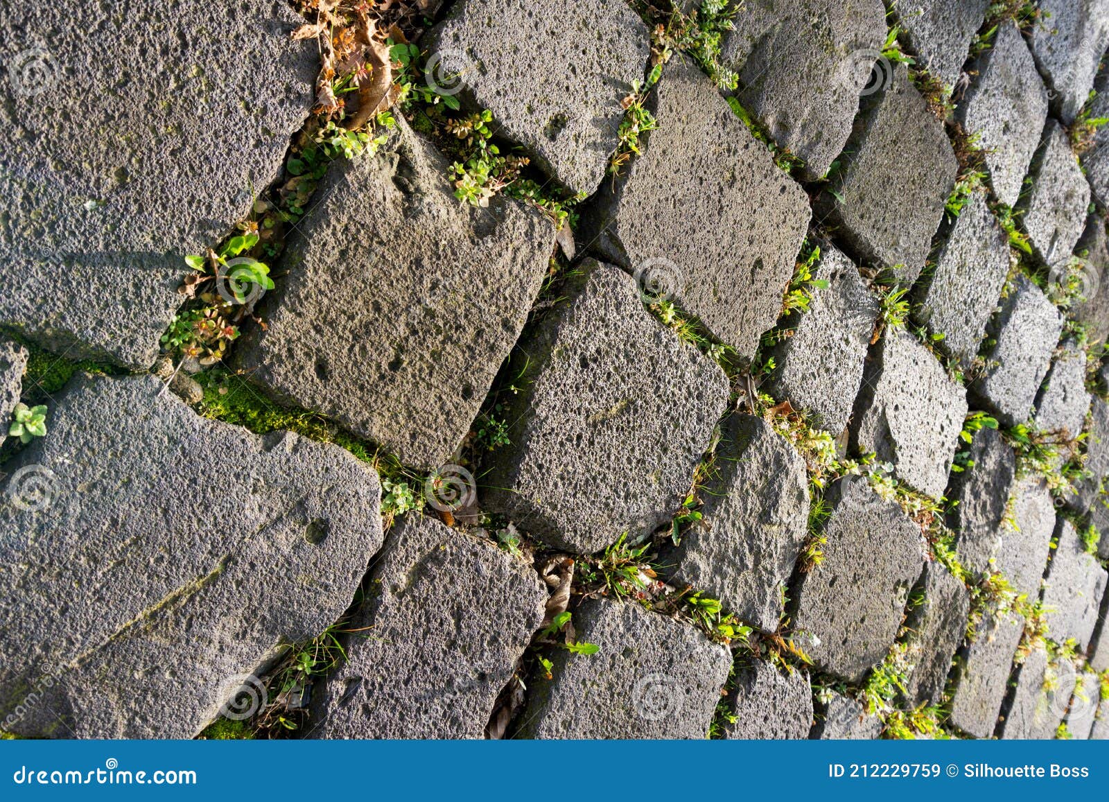 Black Gray Basalt Lava Rectangular Pavement Cobblestones in Square ...