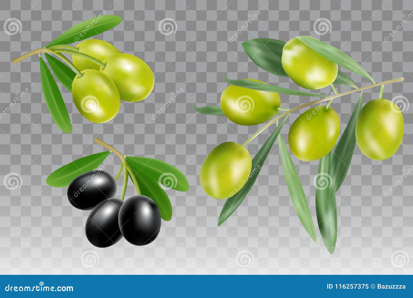 Black and Green Olive Branch Vector Icon Set Stock Vector ... Black and Green Olive Branch Vector Icon Set Stock Vector ...