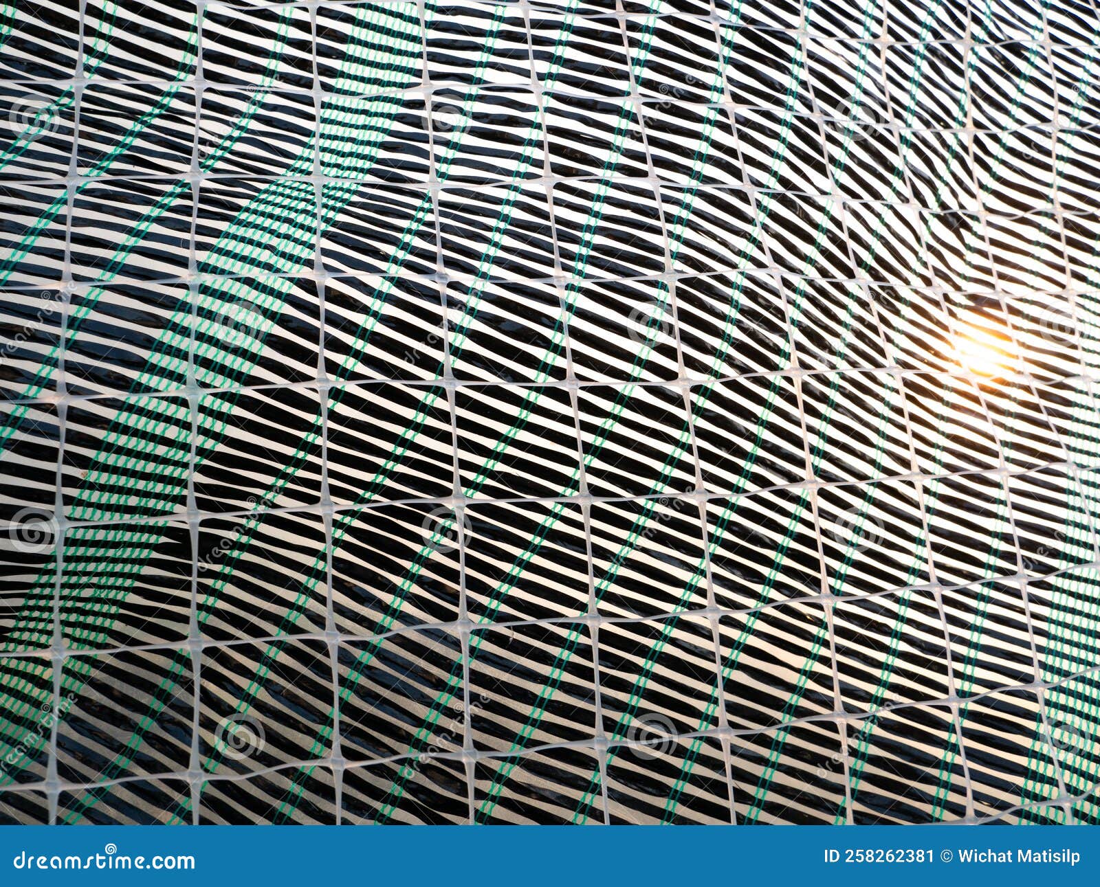 Black and Green Shading Net Texture with White Plastic Square Grid ...