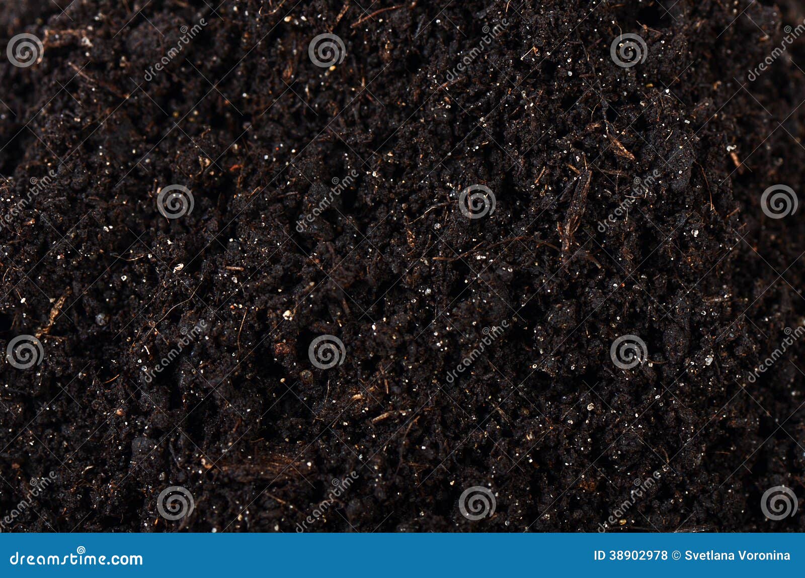 Black ground close up stock photo. Image of compost, brown - 38902978