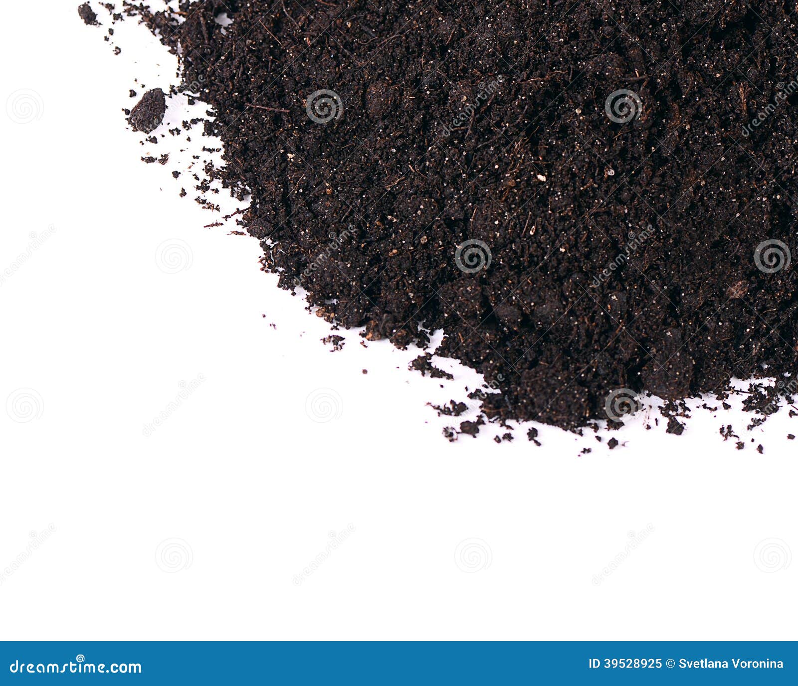 Black Ground Close Up Isolated on White Stock Image - Image of botany ...