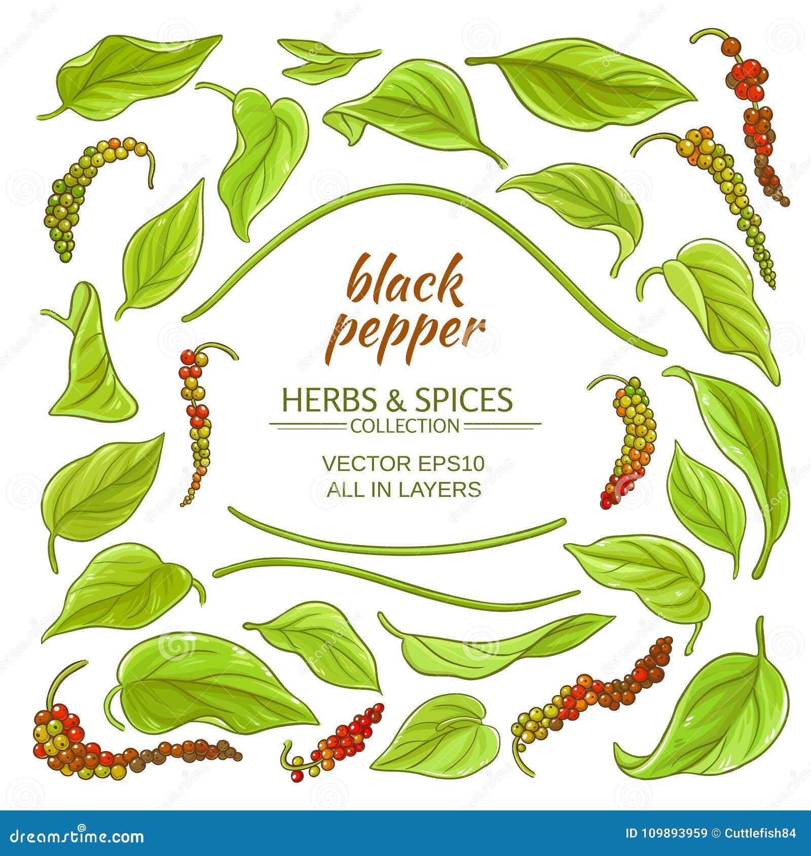 Black Ground Pepper Elements Set Stock Vector - Illustration of fresh ...