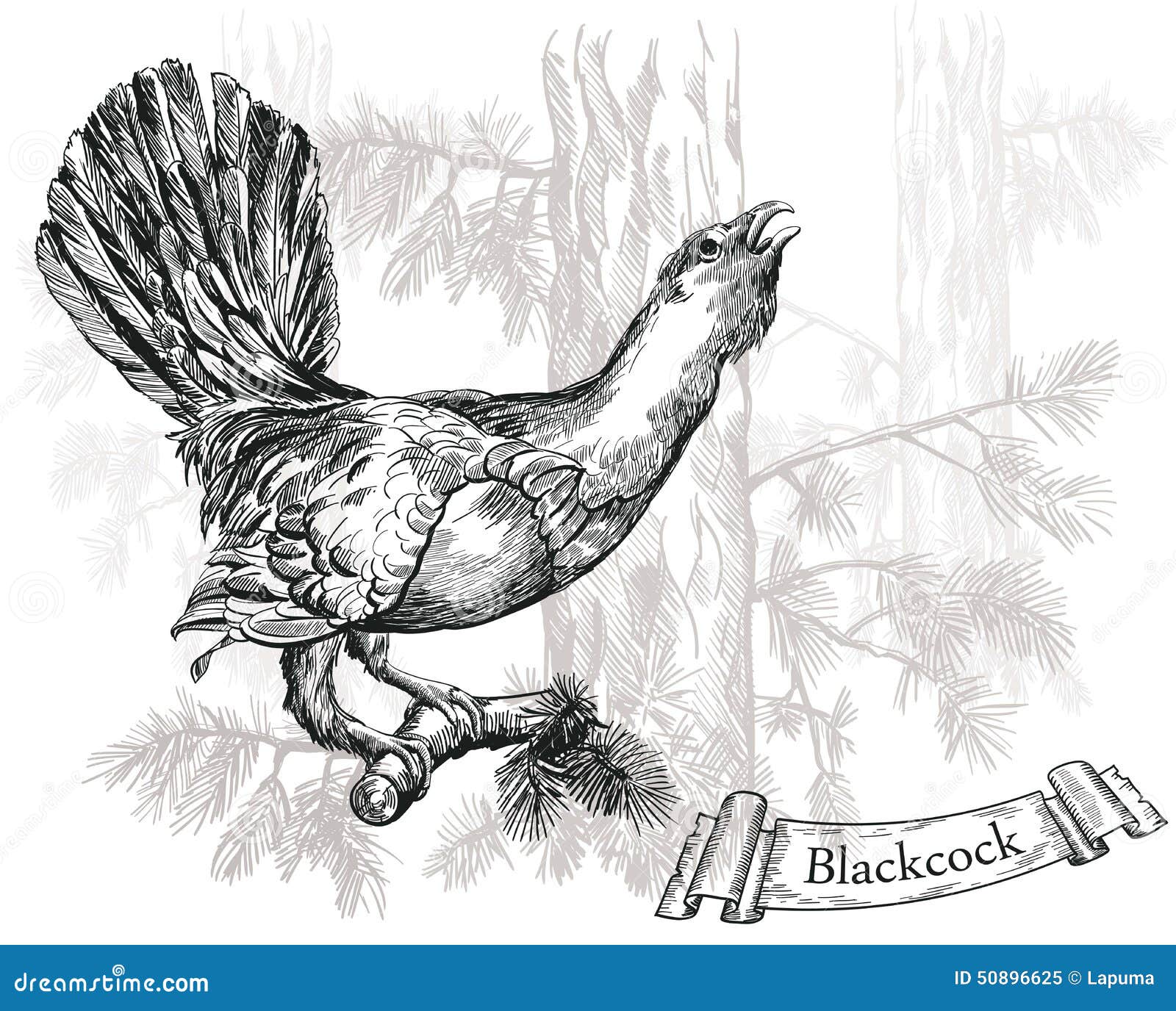 Grouse Vector Stock Illustrations – 587 Grouse Vector Stock ...