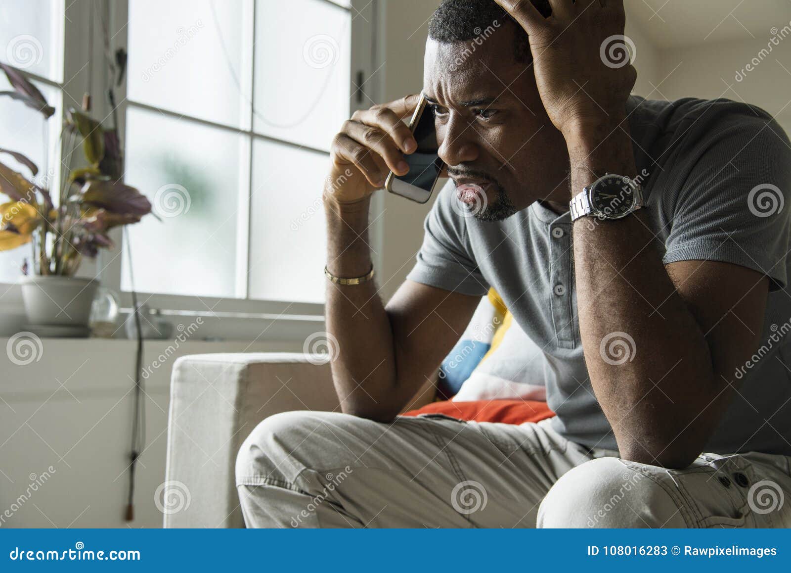 Man Black Emotion American Portrait Confident Happy African Smile Young ...