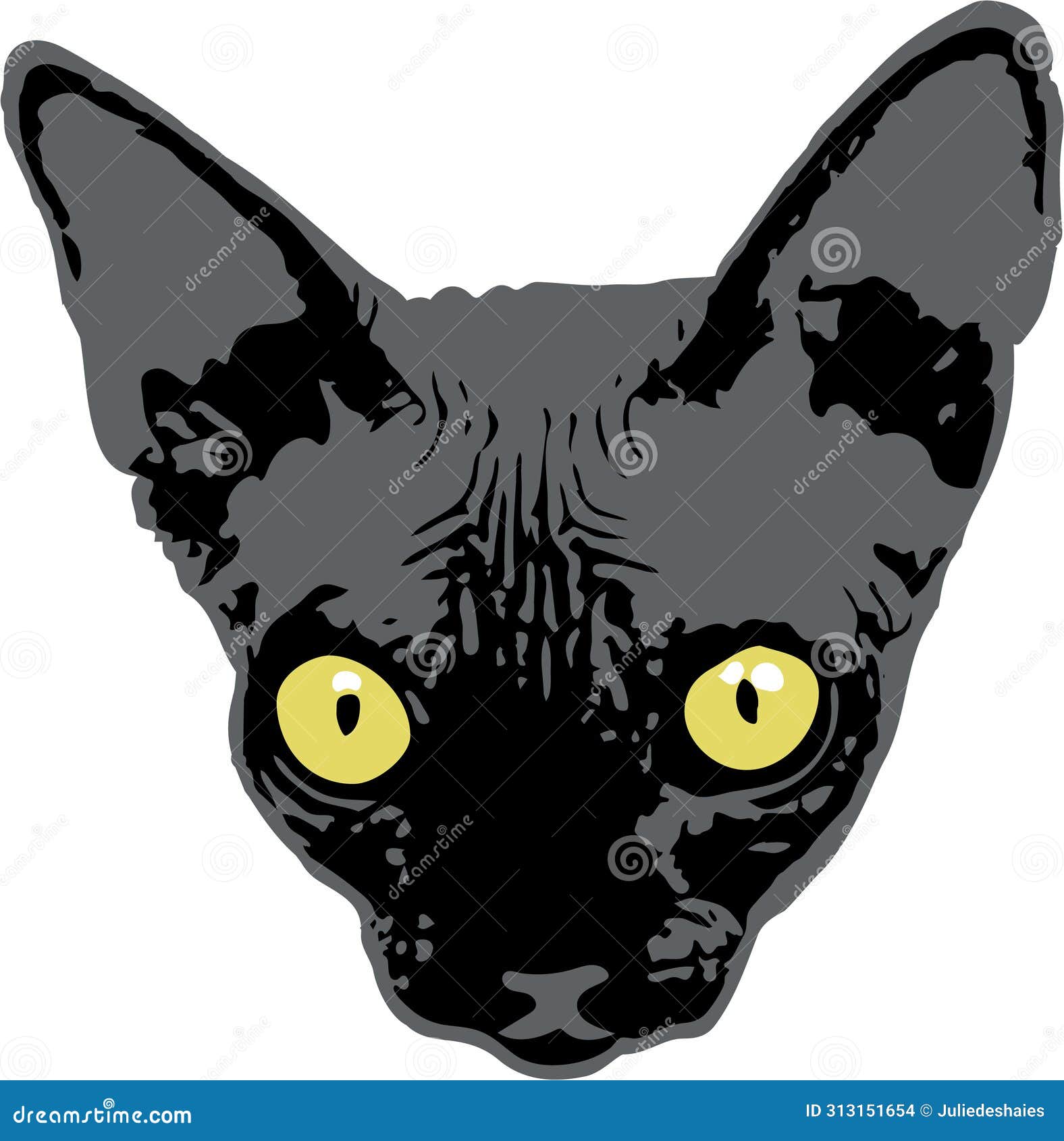 Black Hairless Sphynx Cat Breed Illustration Vector Stock Vector ...