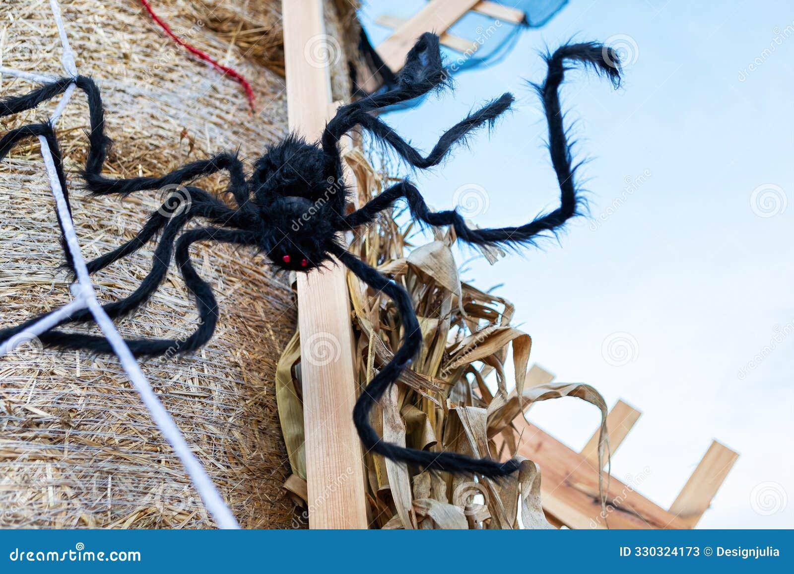 Black Hairy Spider with Red Eyes on a Haystack, Captured in a Realistic ...