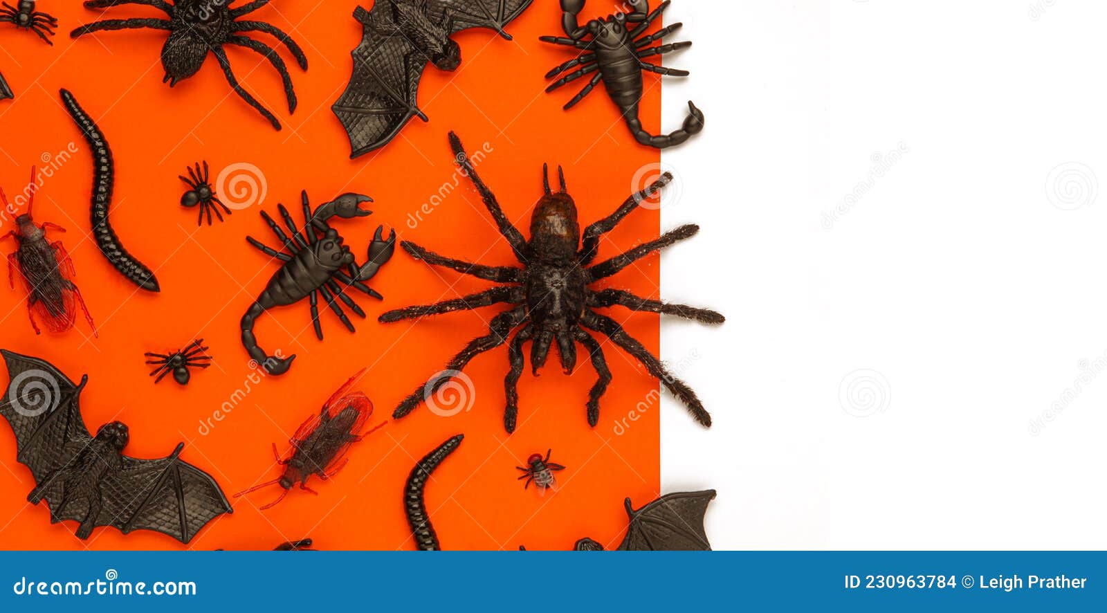 Black Halloween Creepy Crawly Bugs And Spiders On Orange Background ...