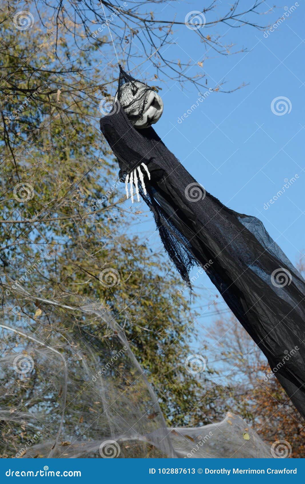 Halloween Ghoul 11 Royalty Free Stock Image 1317220