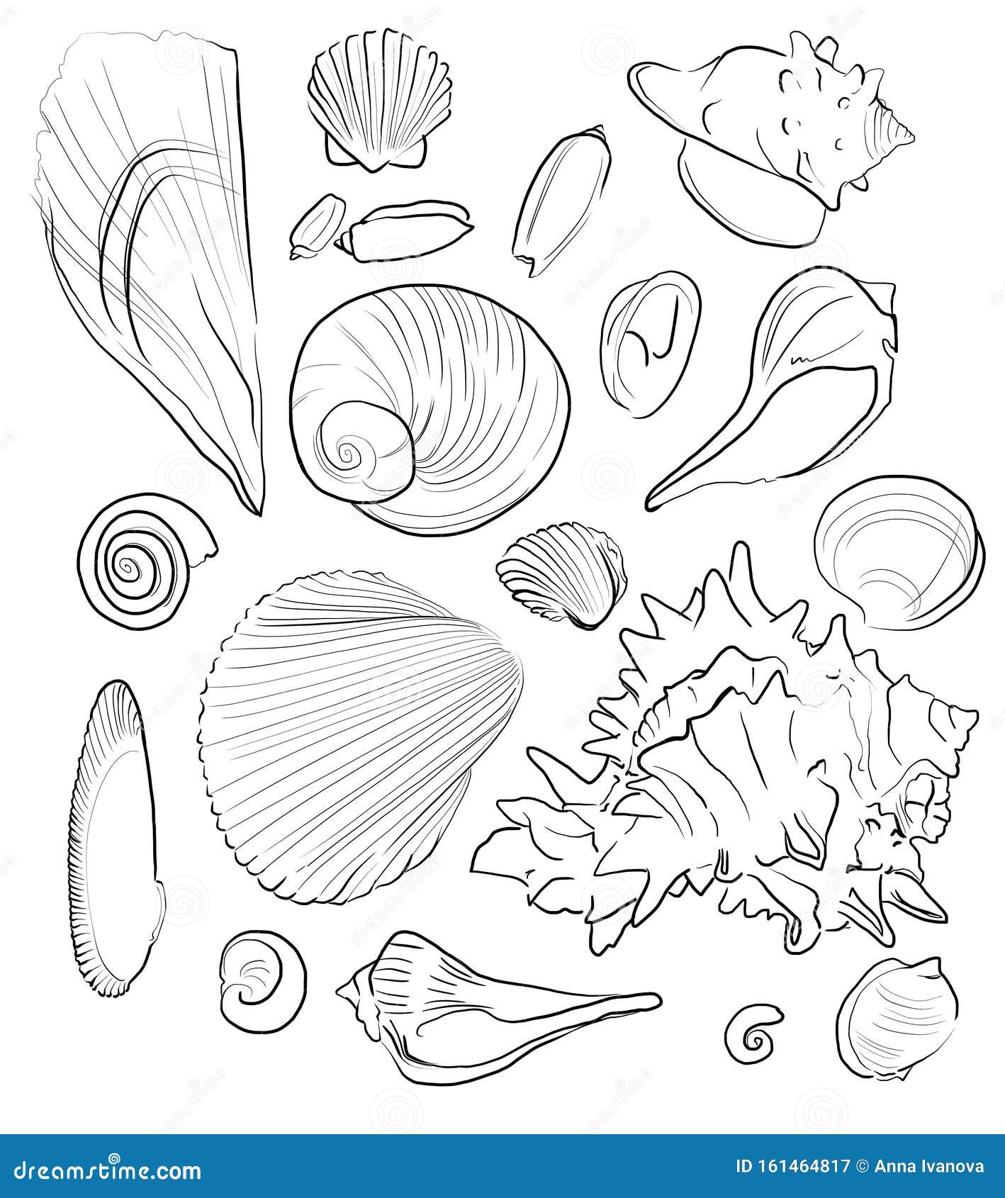 Black Simple Hand Drawn Outlined Shells Set Stock Illustration ...