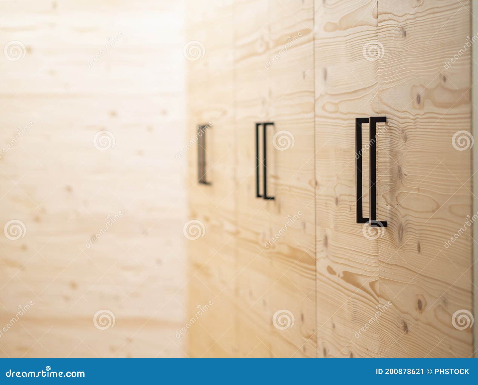 Black Handles for Walk-in Doors Stock Image - Image of doors, dresser ...