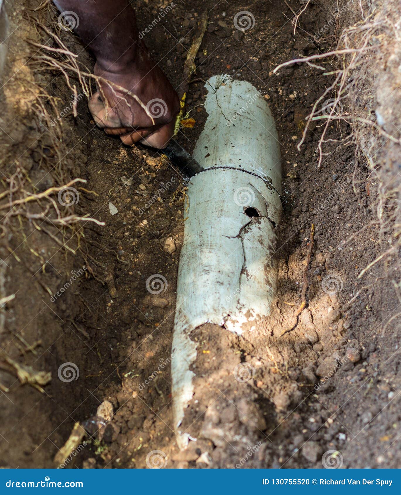 Black Hands Digging in the Soil Stock Photo - Image of labor, back ...