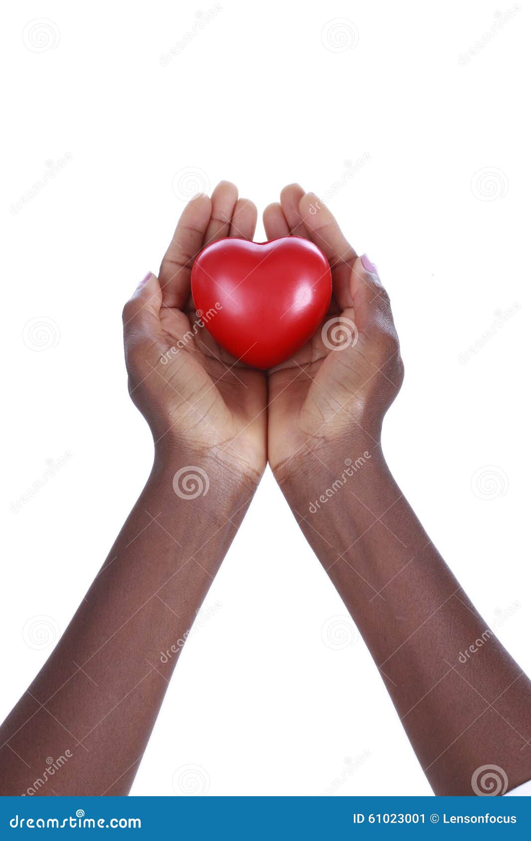 Black Hands Holding a Red Heart Stock Image - Image of immigration ...