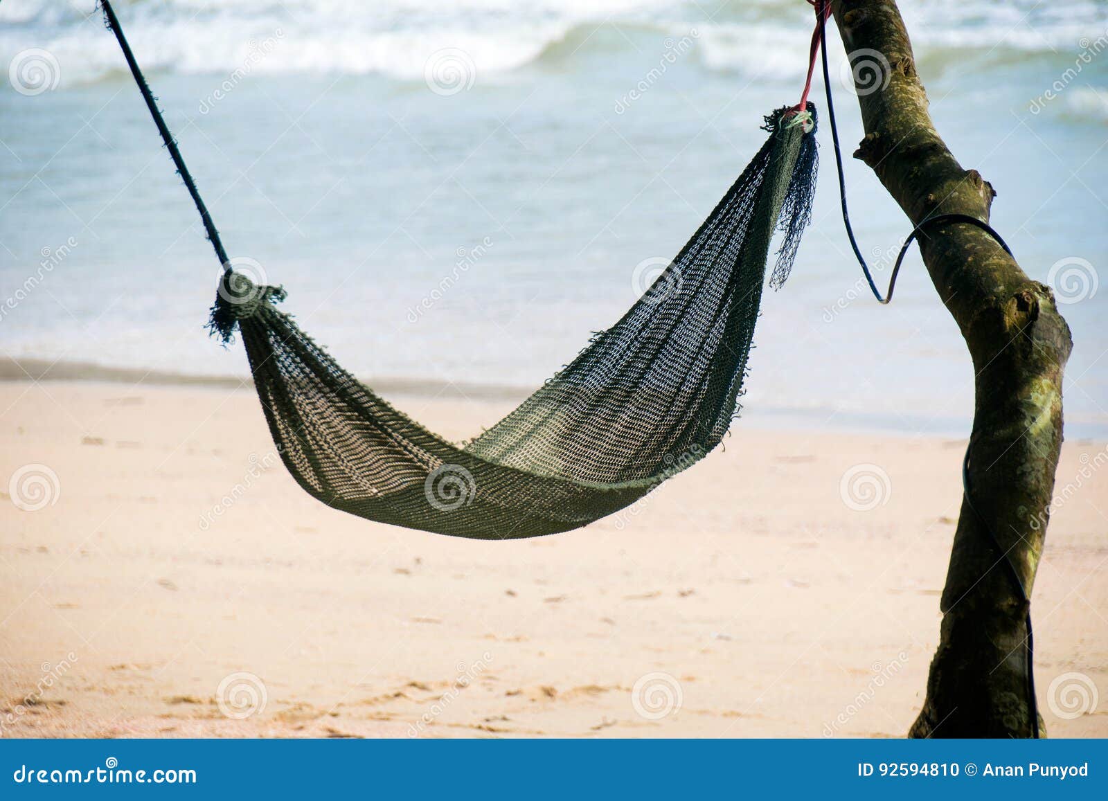 Black Hanging Cradle on Tree in the Beach Stock Photo - Image of ...
