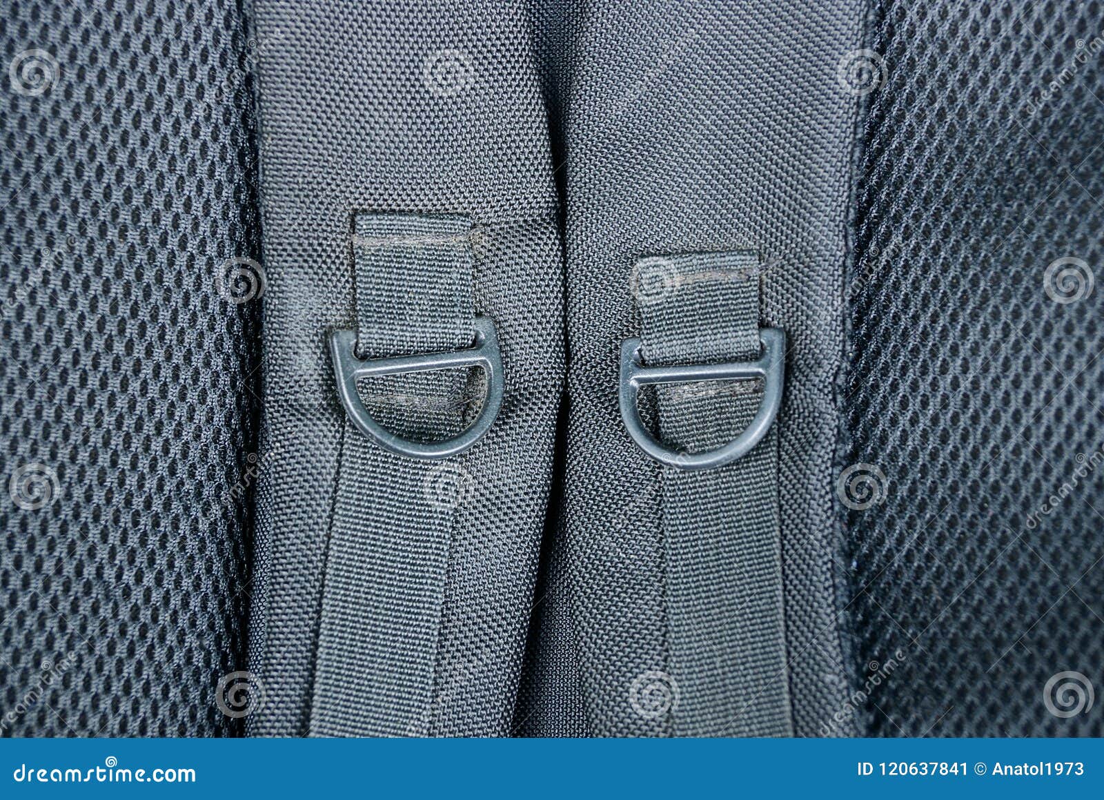 Black Harness with Plastic Carabiners on a Backpack Stock Image - Image ...