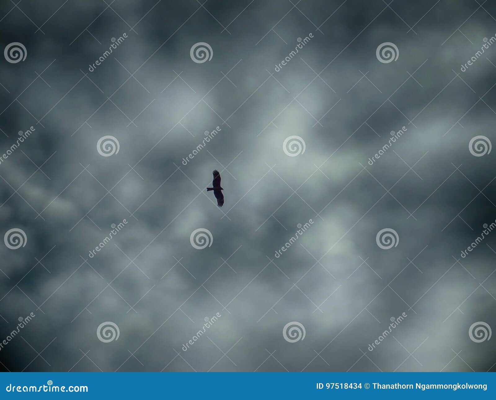 Black Hawk Flying Under Rain Storm Stock Photo - Image of japan, rain ...