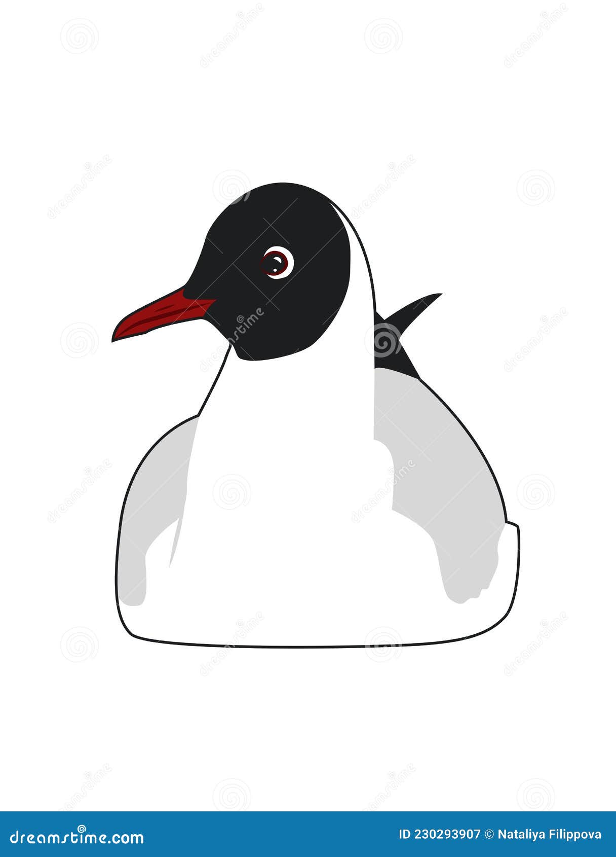 Black headed gull stock vector. Illustration of cartoon - 230293907