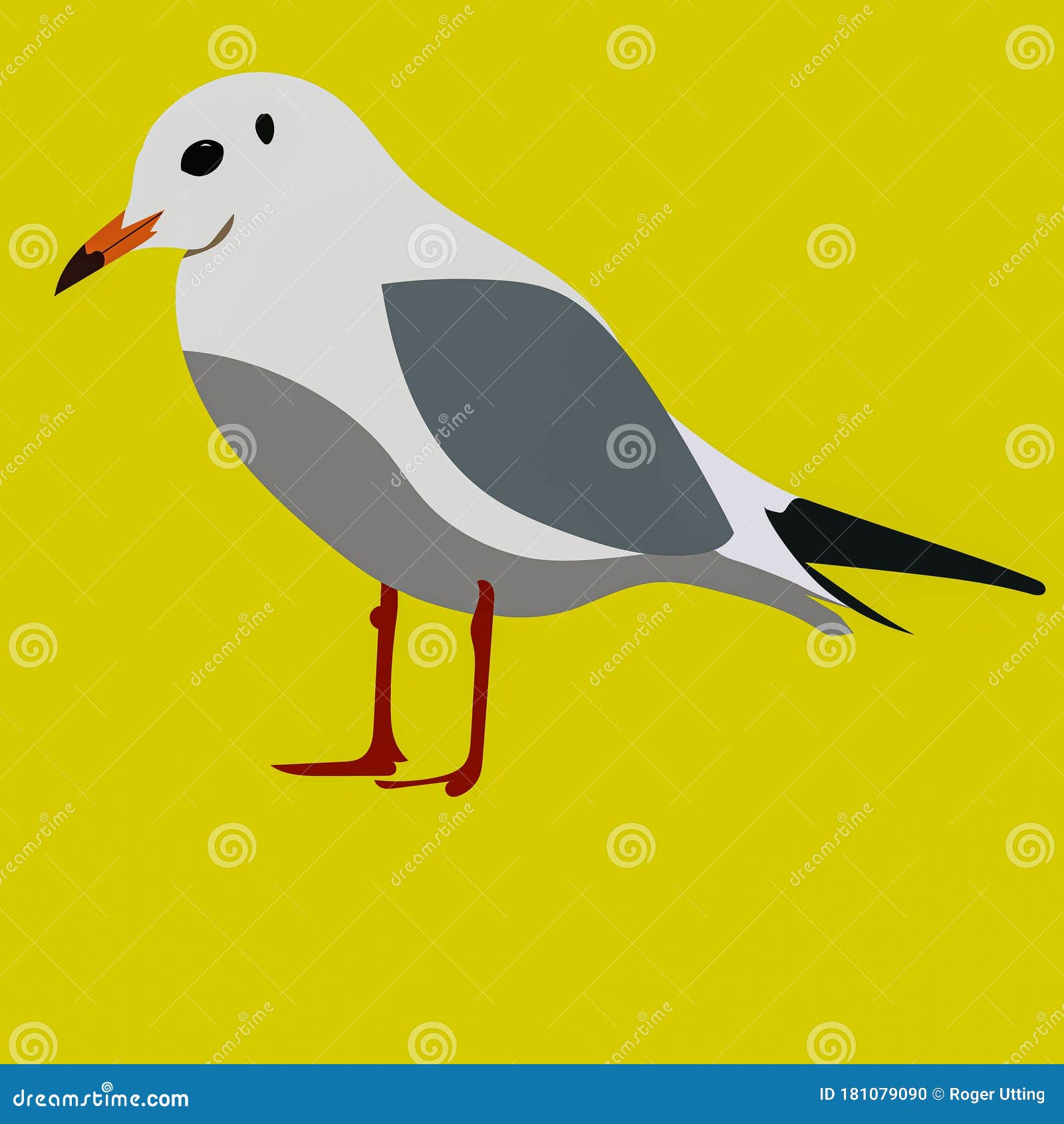 Black Headed gull stock illustration. Illustration of ornithology ...