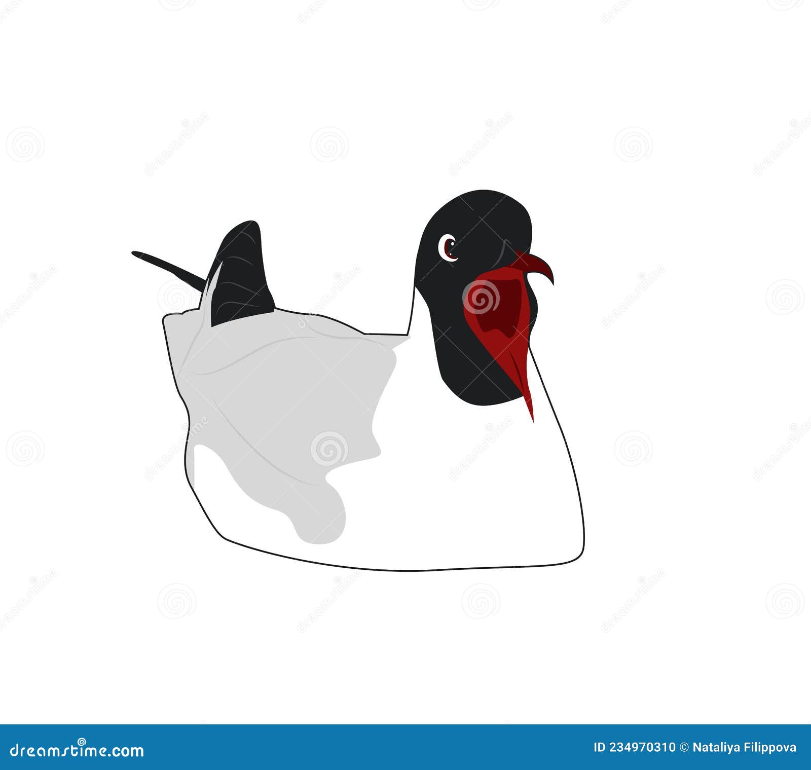 Black Headed Gull with Open Beak Stock Vector - Illustration of ...