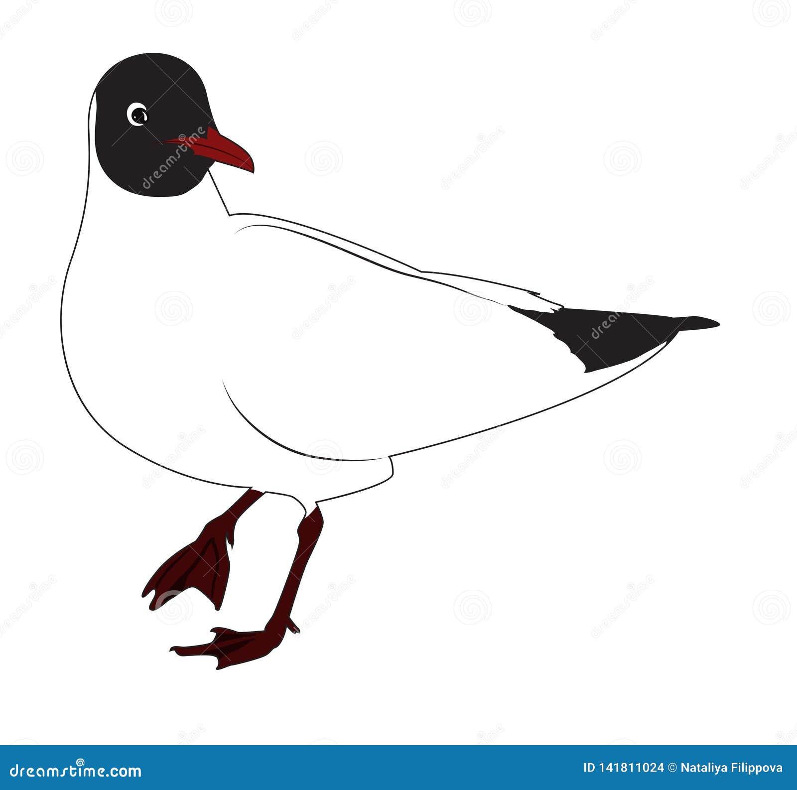 Black headed gull stock vector. Illustration of animal - 141811024
