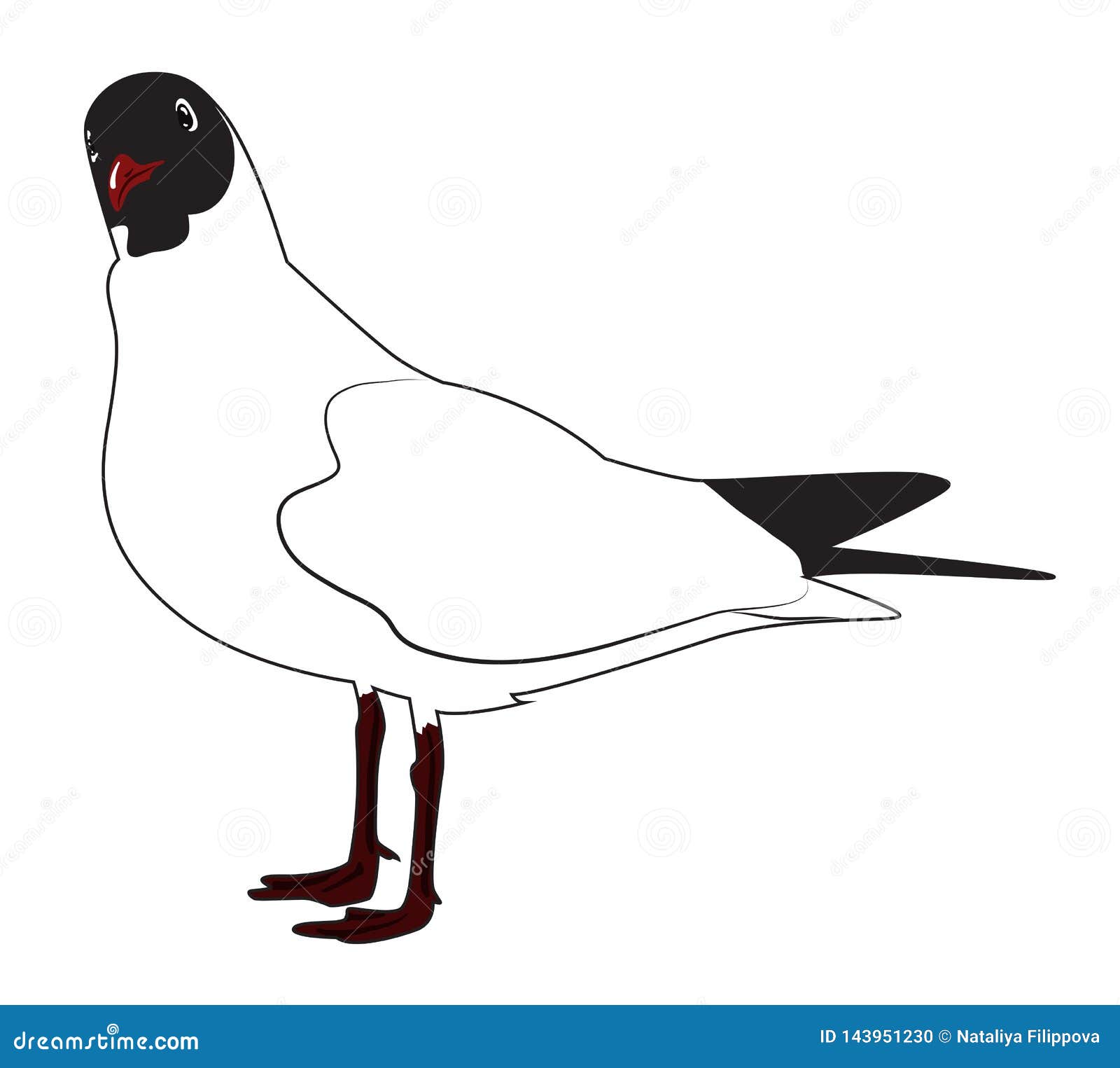 Black headed gull stock vector. Illustration of wildlife - 143951230
