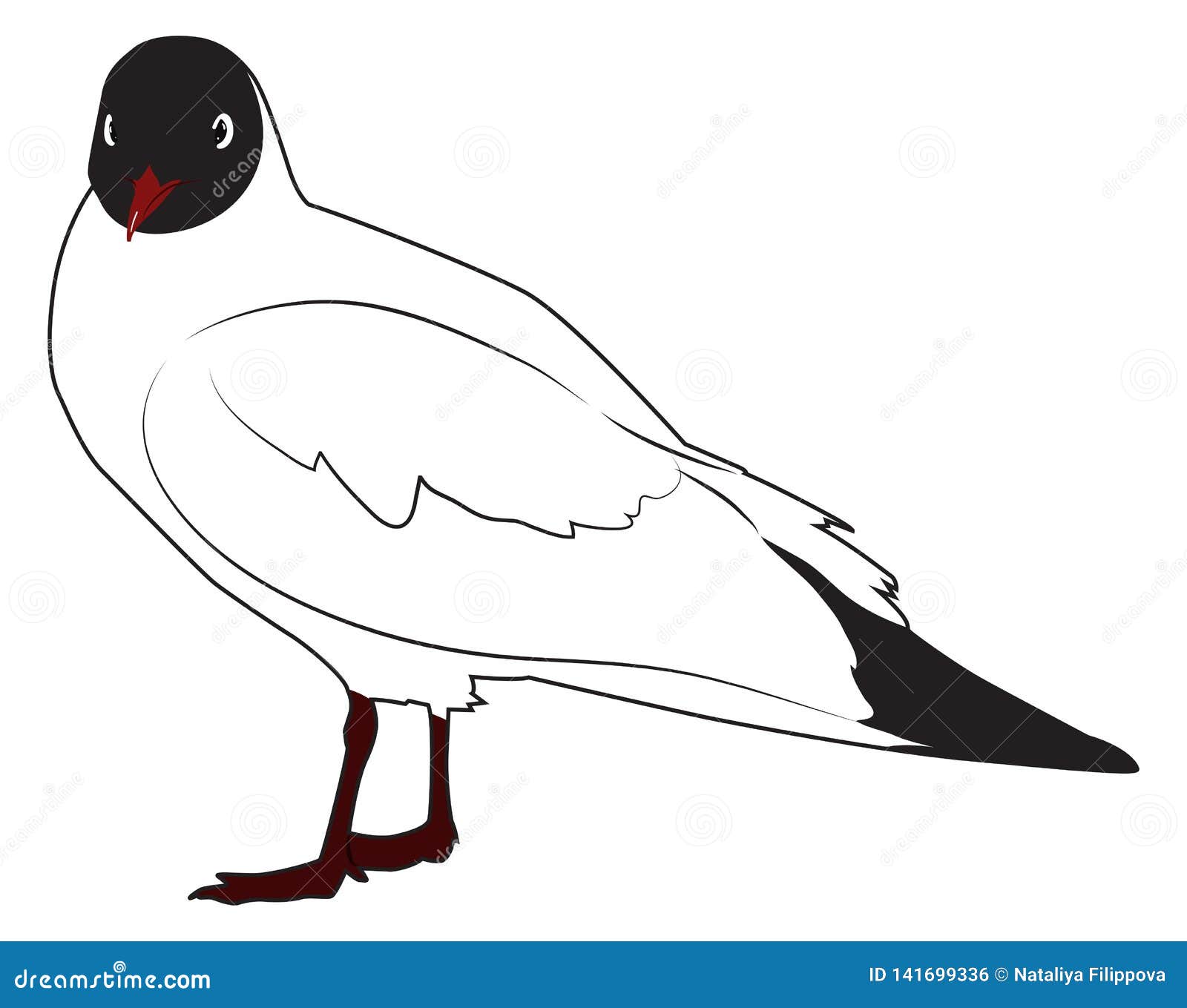 Black headed gull stock vector. Illustration of looking - 141699336