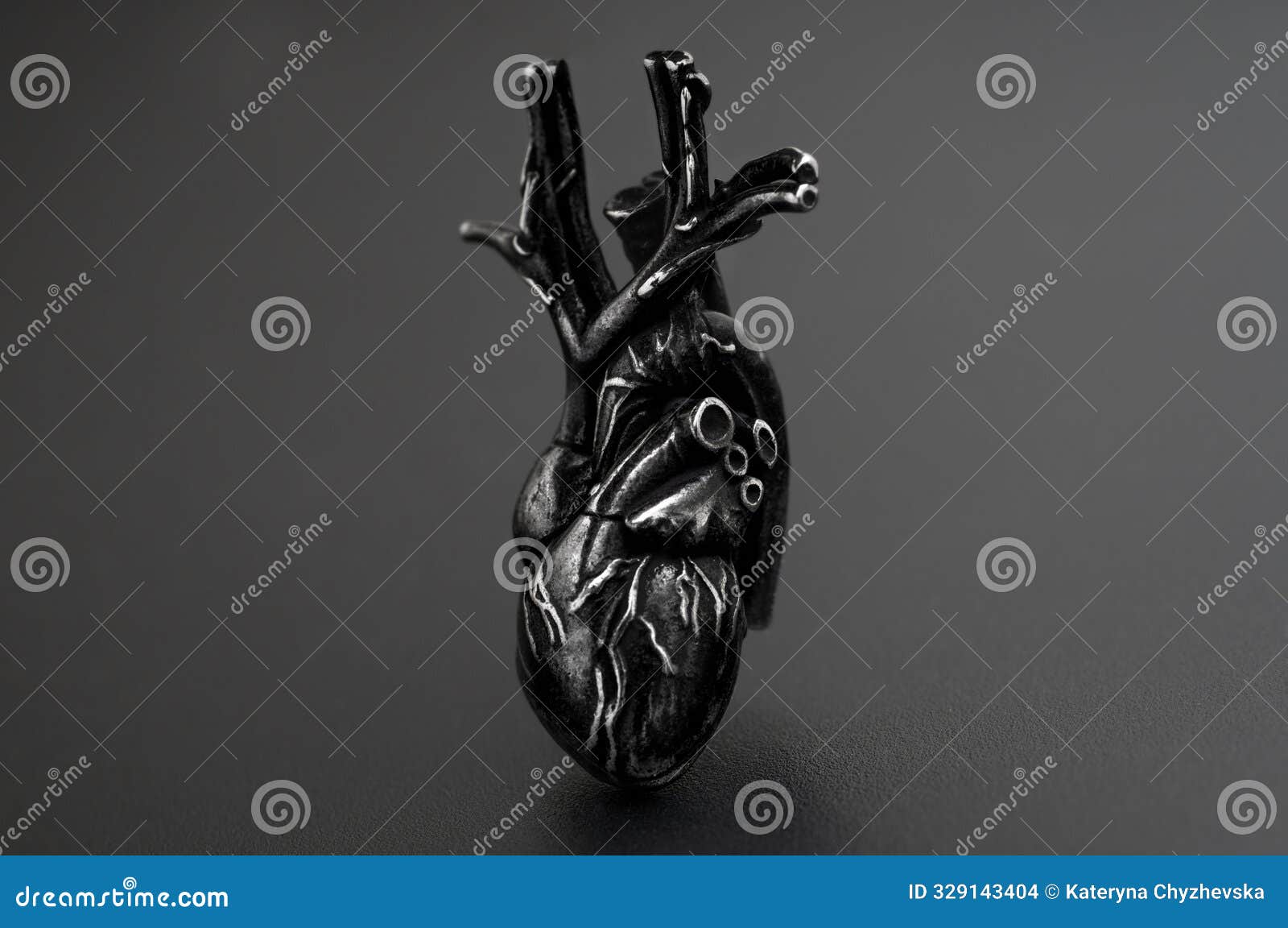 Enhanced Model Bacteria Diplococci, Which Consists Of Two Related ...