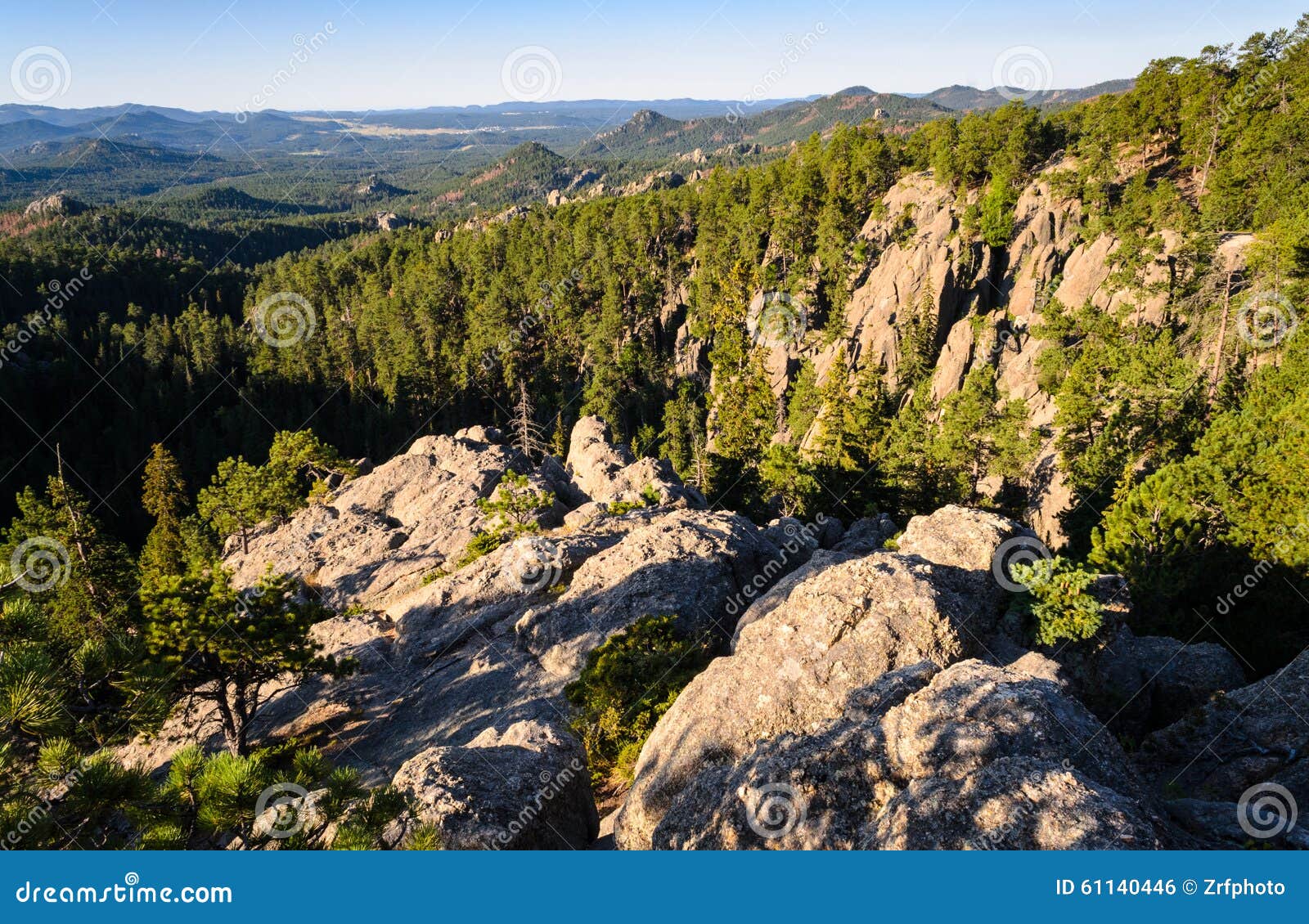 Black Hills stock photo. Image of conservation, forest - 61140446
