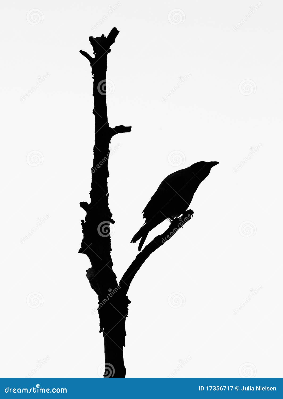 Crow Silhouette Sitting On The Black Tree Royalty-Free Stock Image ...