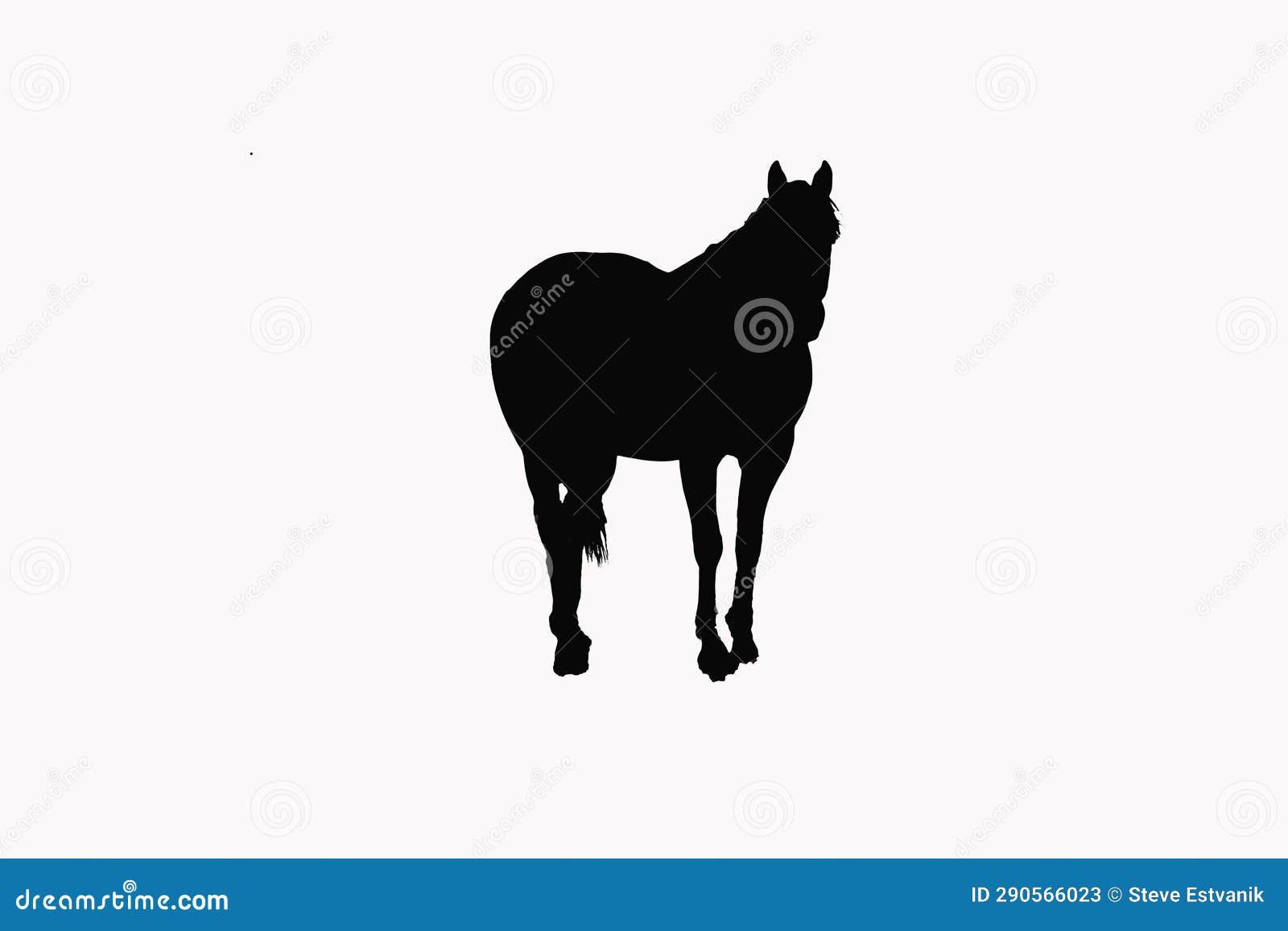 Black Horse Silhouette from Oregon Stock Illustration - Illustration of ...