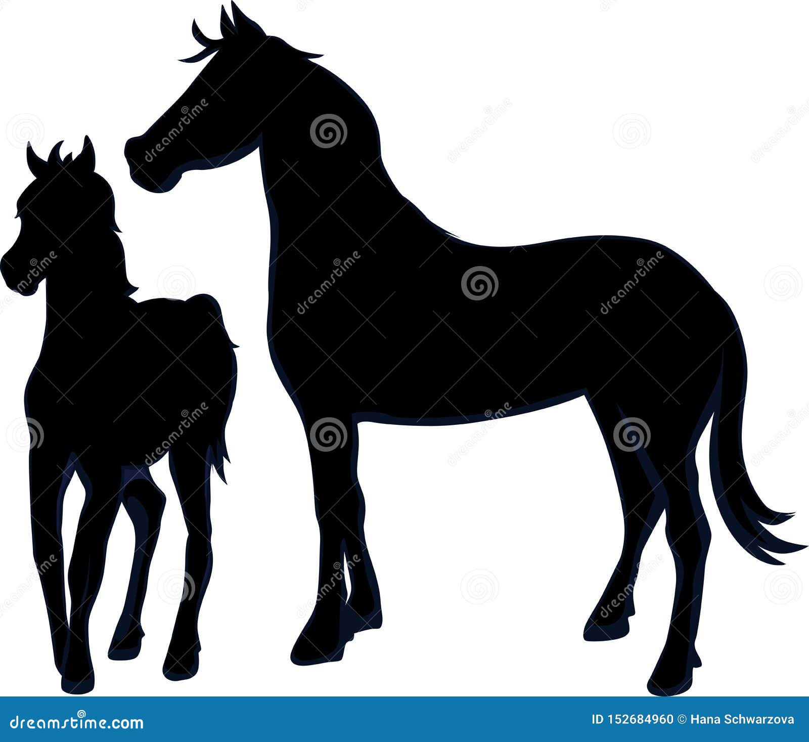 Vector Mare And Foals | CartoonDealer.com #170818156