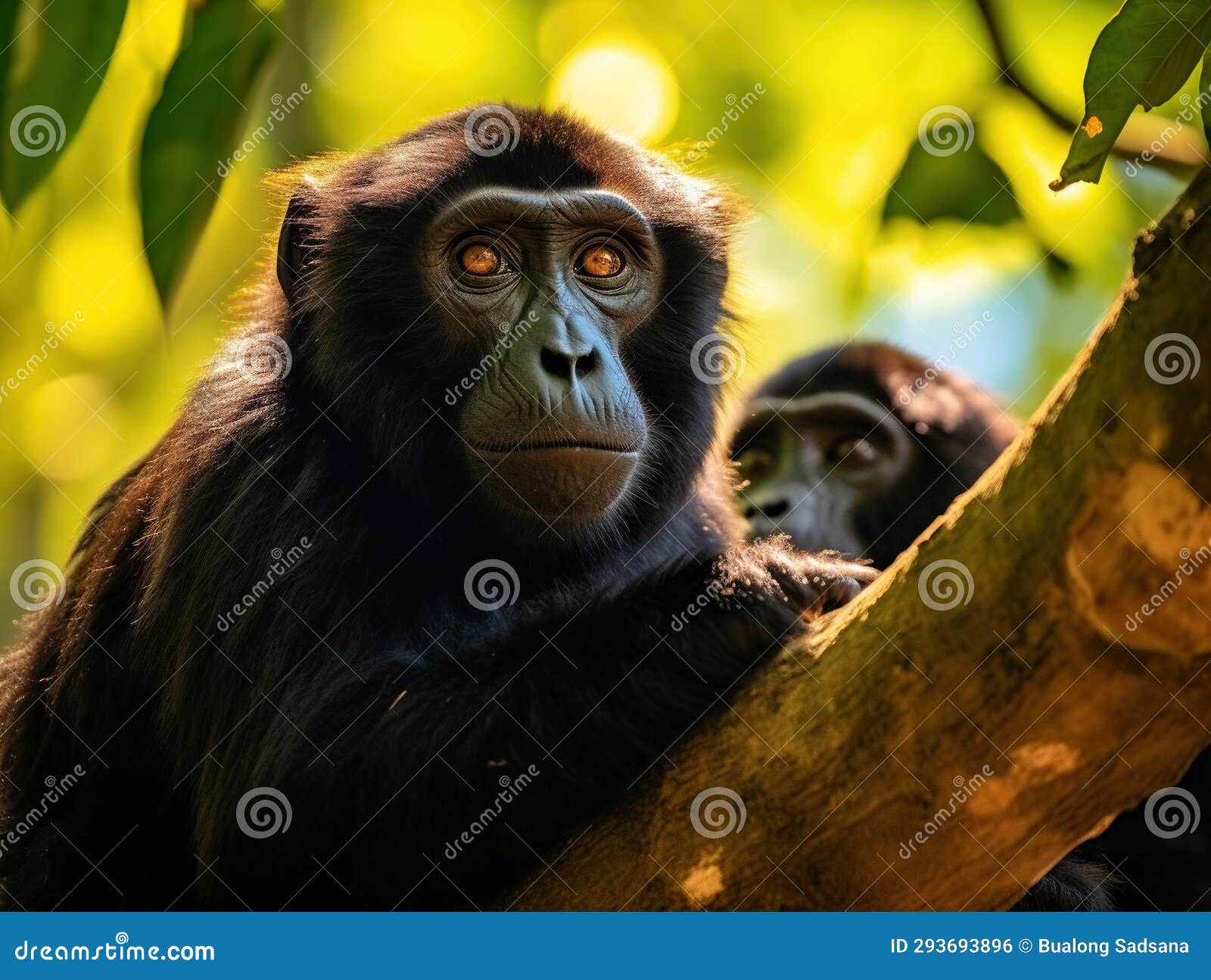 Ai Generated Illustration Wildlife Concept of Black Howler Monkey Stock ...