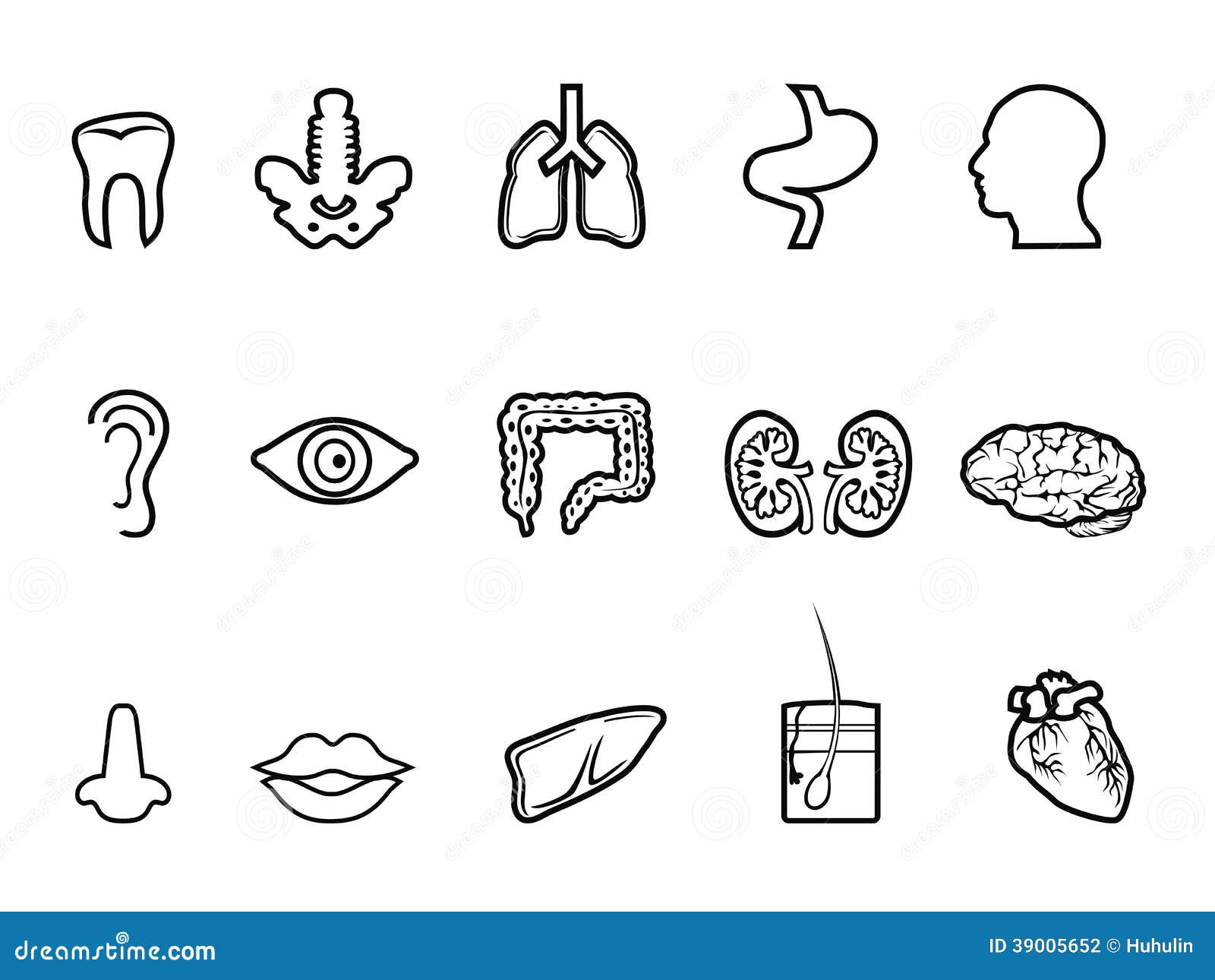 Black Human Anatomy Outline Icon Stock Vector - Illustration of ears ...