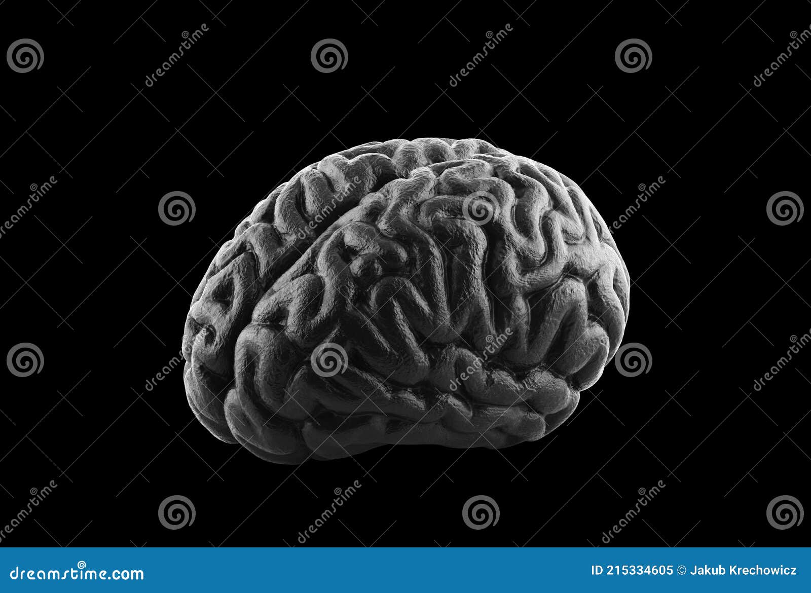 675 Planet Brain Stock Photos - Free & Royalty-Free Stock Photos from ...