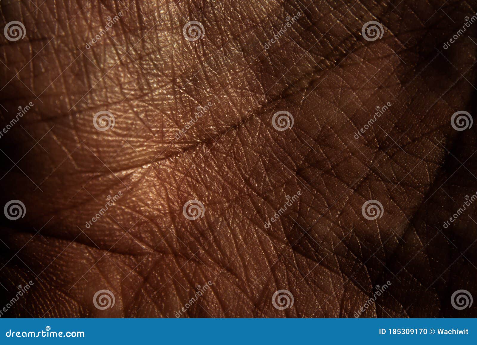 Black Human Footprint White Background Isolated Close Up, Adult Foot ...