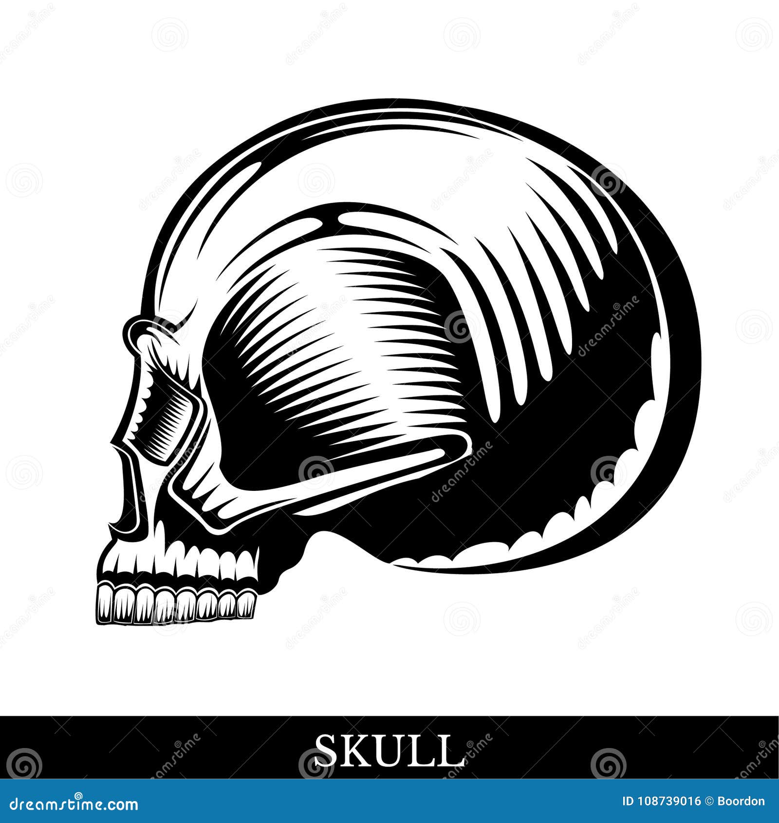 Black Human Skull in Profile without a Lower Jaw Isolated Stock Vector ...