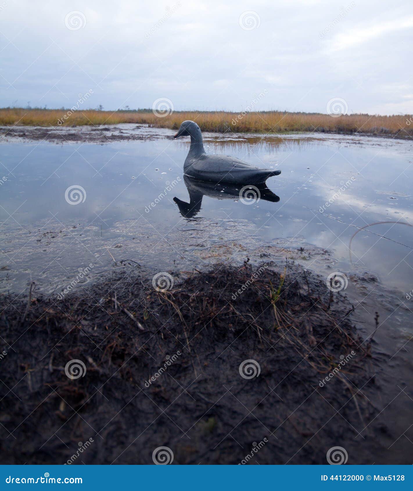 Black Hunting Profile of a Goose on a Bog Stock Photo - Image of ...