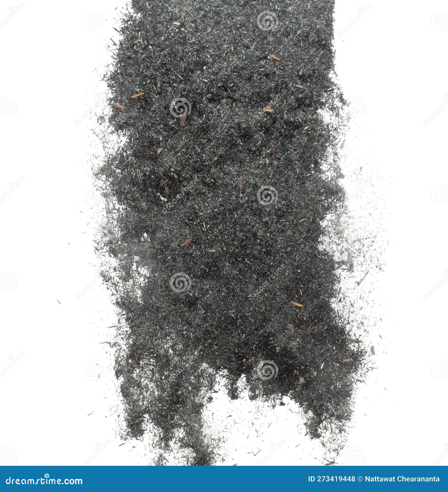 Black Husk Rice Seed Grain Fly in Air. Burn Black Husk Paddy Falling ...