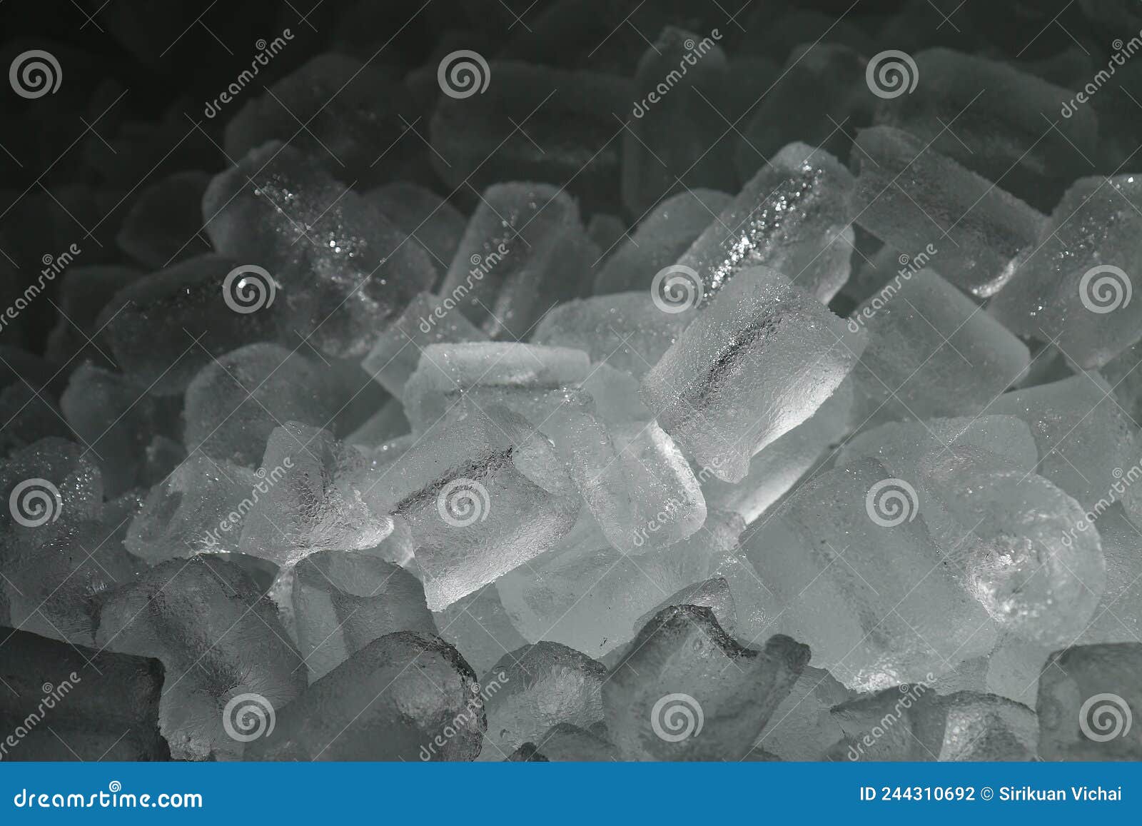 Black ice stock photo. Image of white, branch, perfect - 244310692