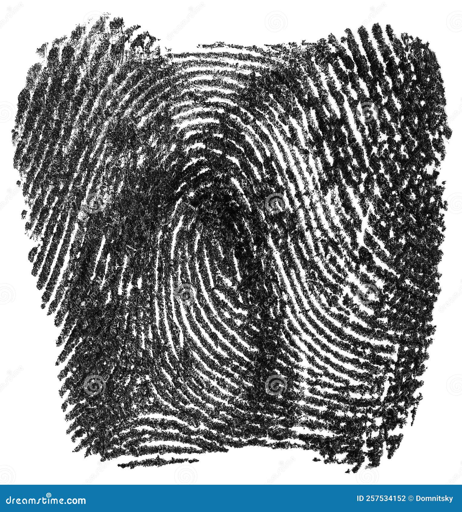 Black Ink Fingerprint Isolated on White Background. Real Fingerprint ...