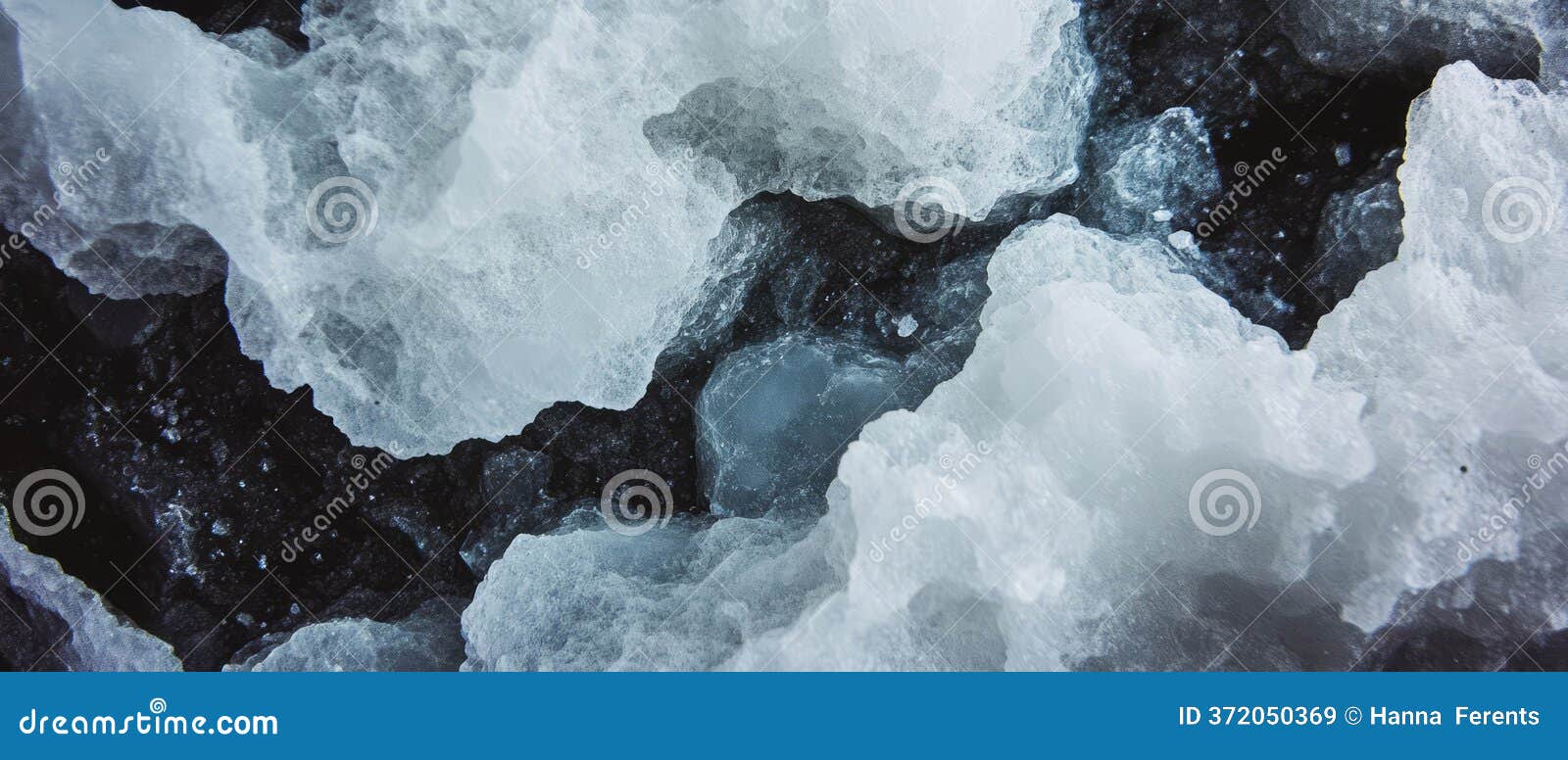 Crystallization Patterns Of Various Salts Creating Dendritic Growth ...