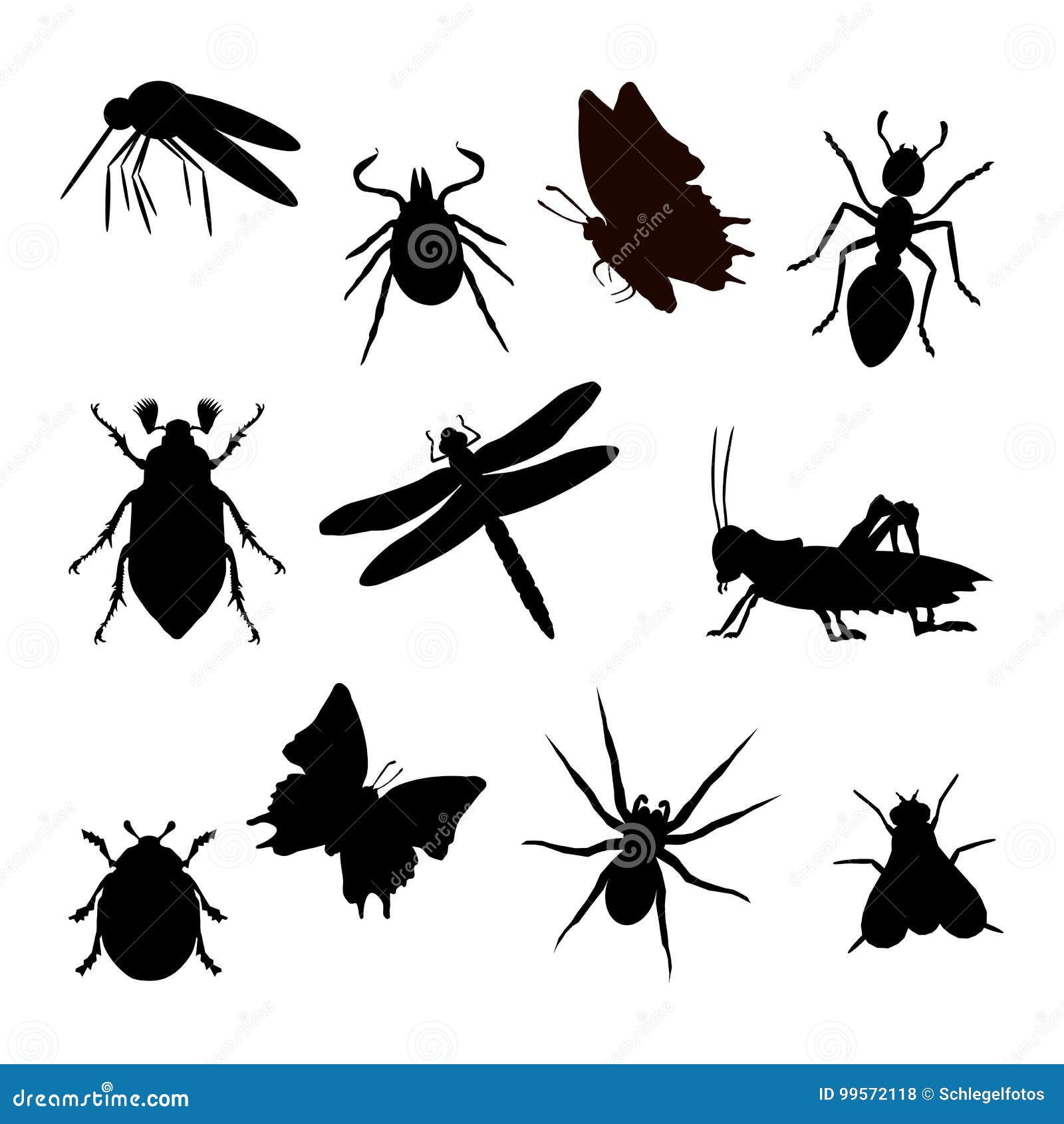 Insect Silhouette Design Element Dragon Fly Ant Spider Beetle Vector ...