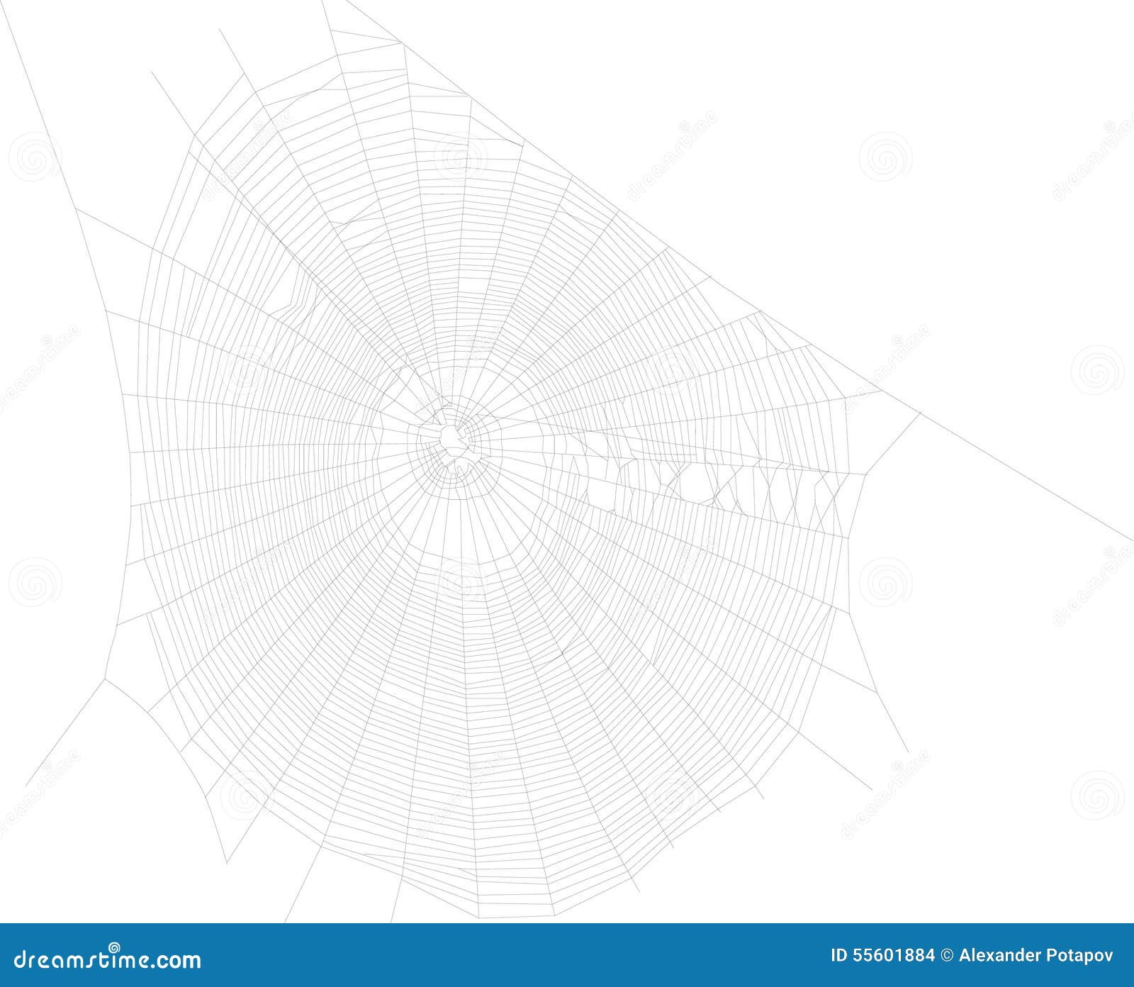 Black Isolated Large Spider Web Illustration Stock Vector ...