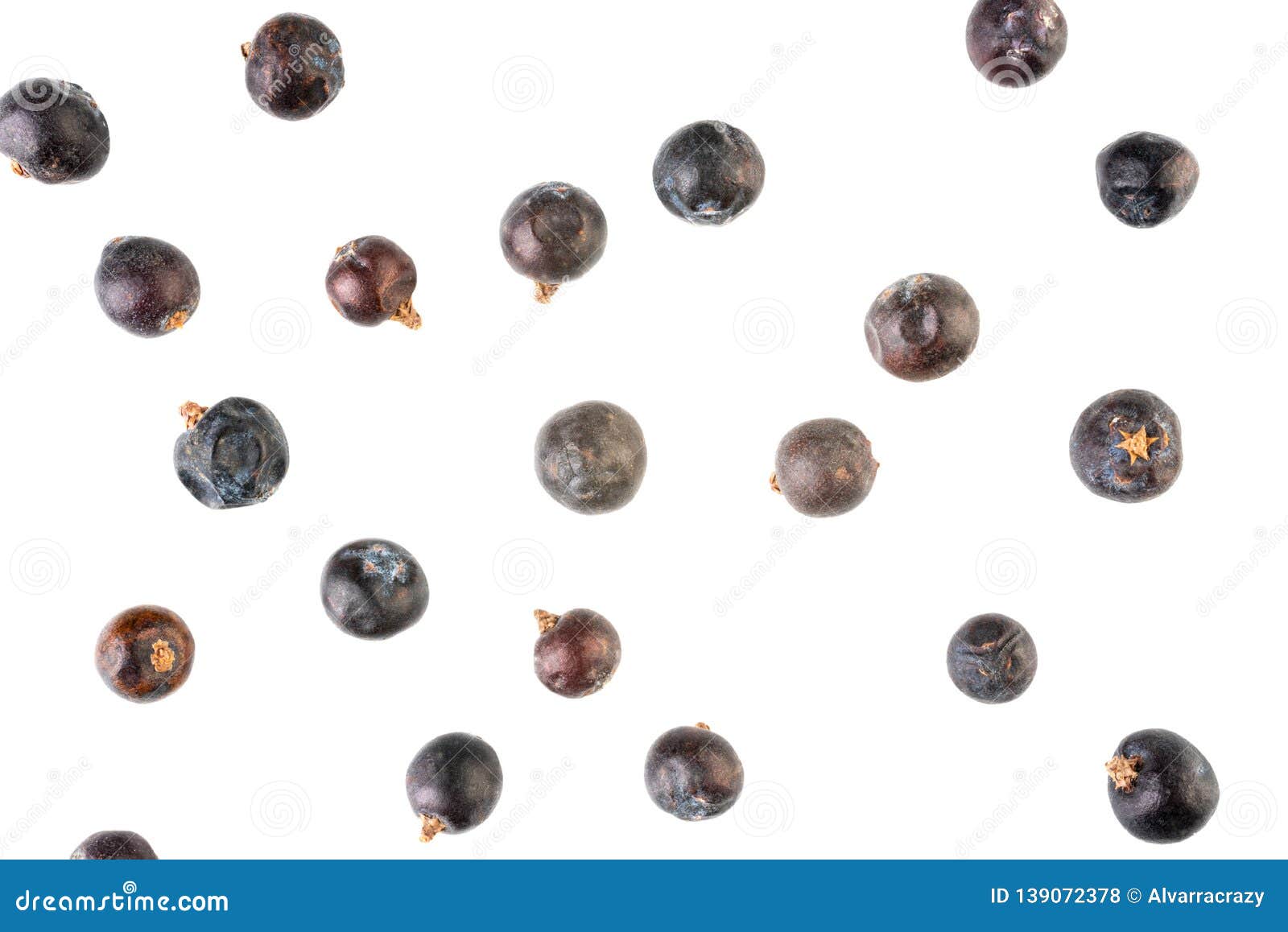 Black Juniper Berries Isolated on White Background Stock Photo - Image ...
