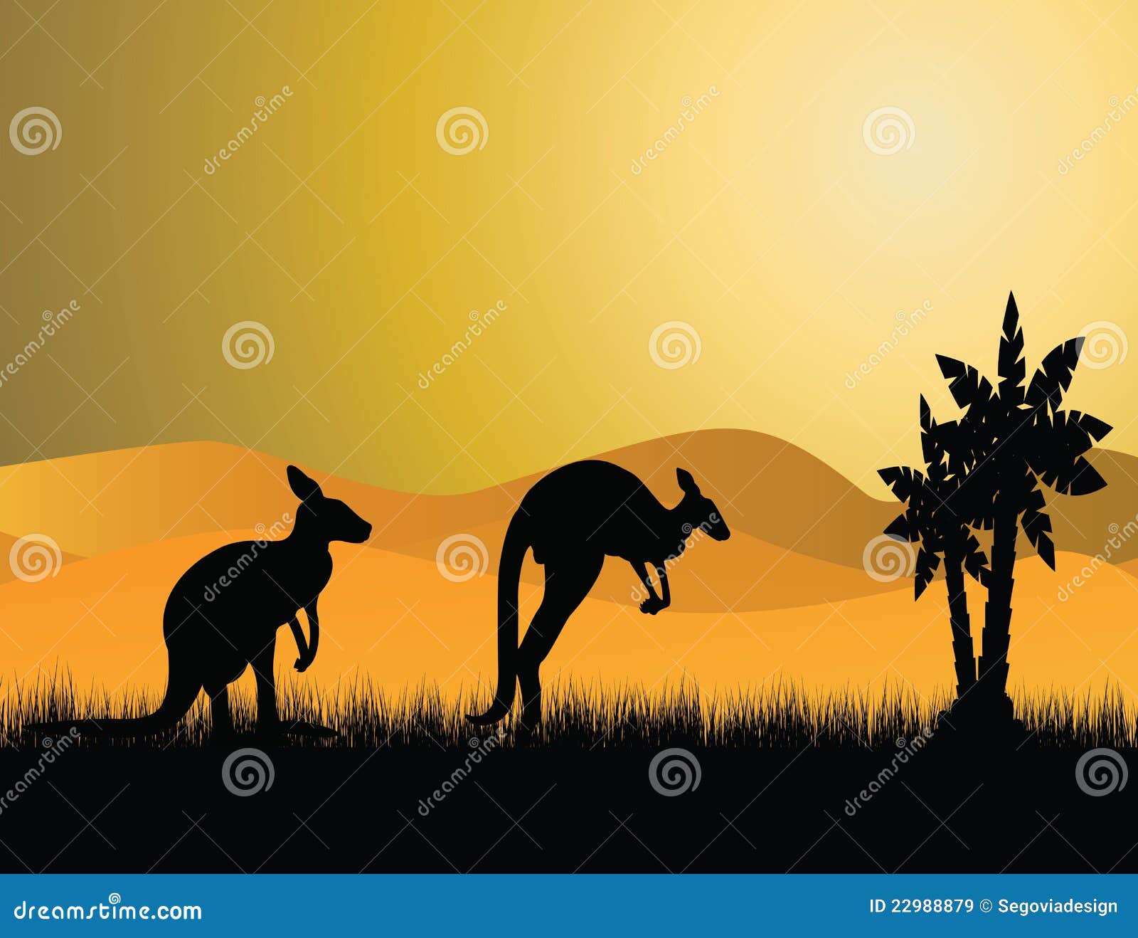 Kangaroo Silhouette Isolated On White Cartoon Vector | CartoonDealer ...