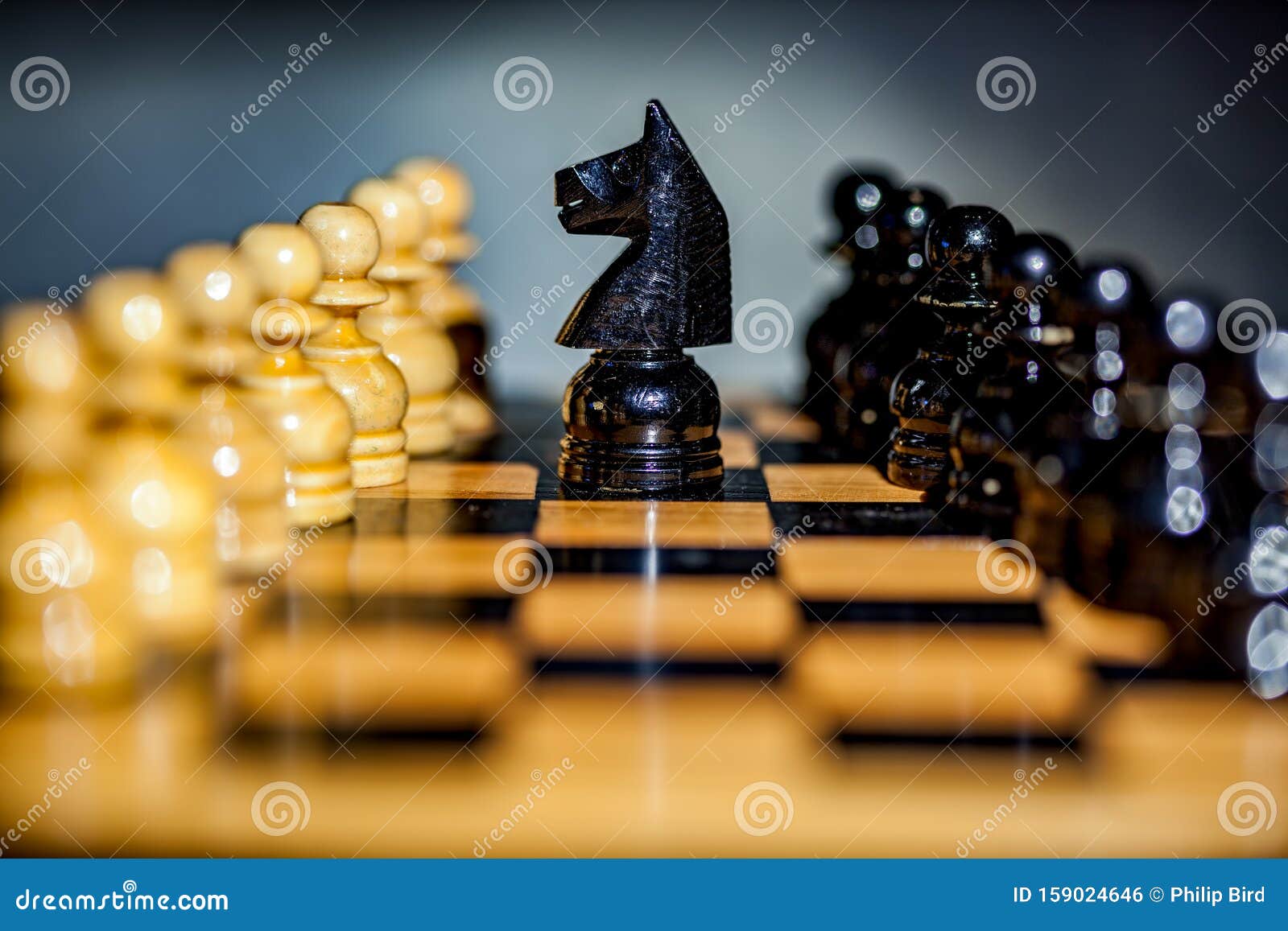 Close Up of a Black Knight and Pawns on a Chess Board Stock Photo ...