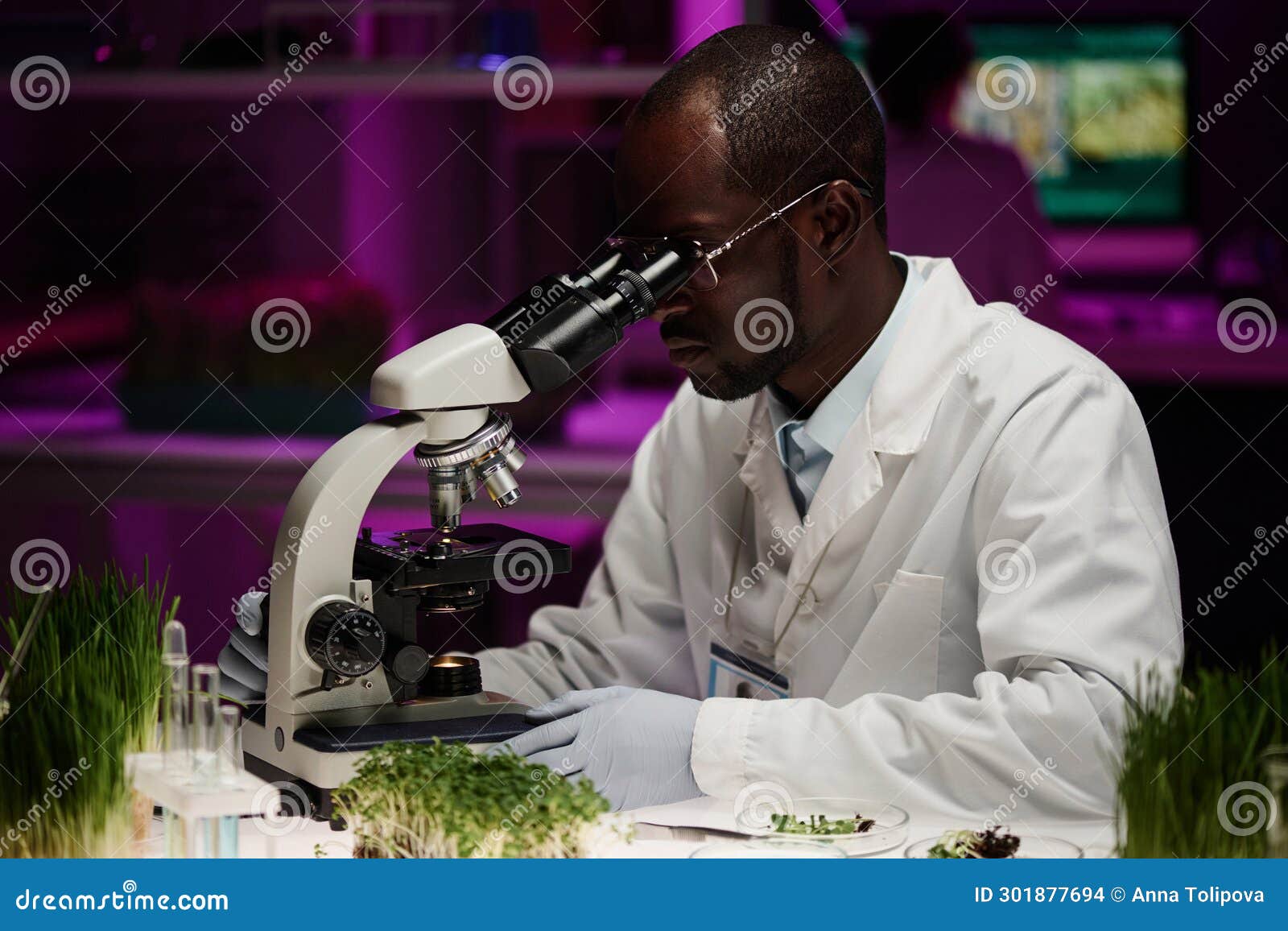 Biologist Working with Microscope in Laboratory Stock Photo - Image of ...