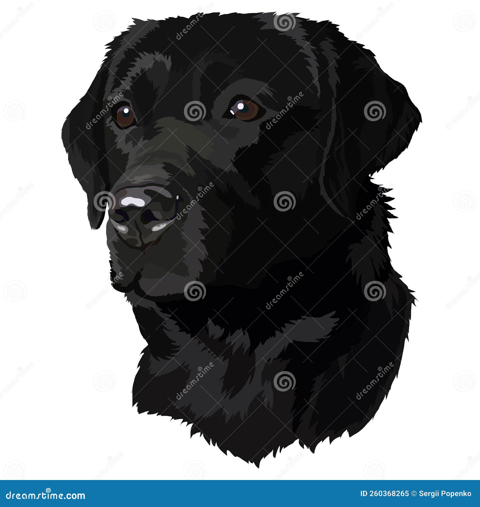 Black Labrador Head Vector Illustration Stock Vector - Illustration of ...