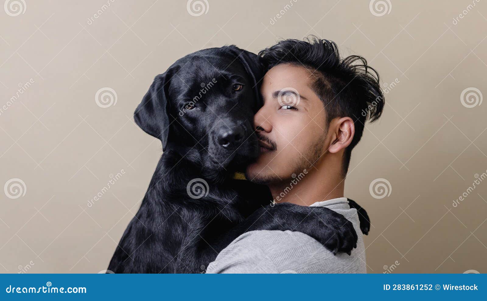 Black Labrador Hugging His Human Friend Stock Photo - Image of animal ...